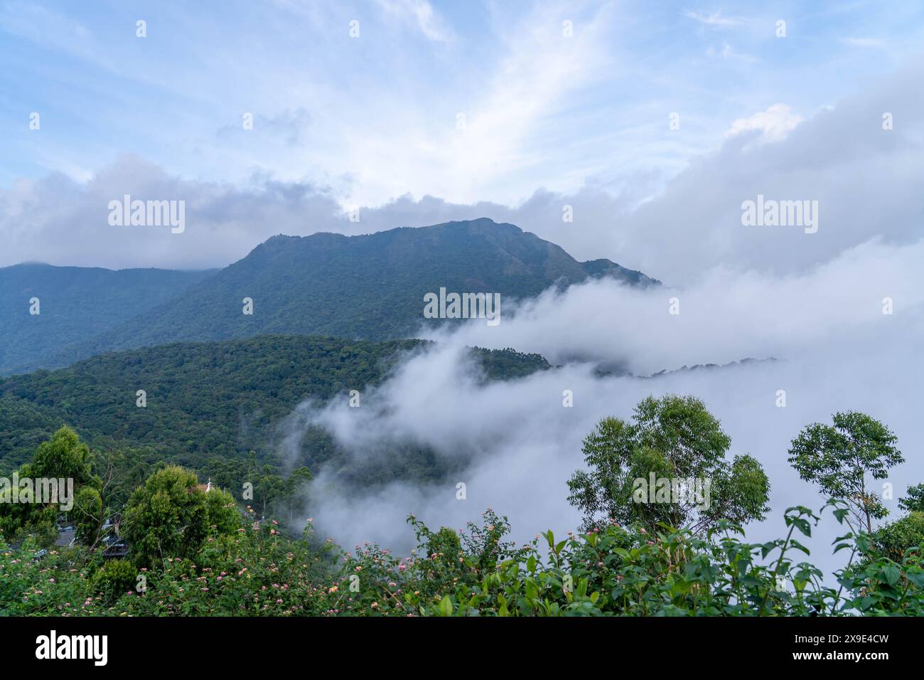 Top Station, located in Munnar, is the highest point, The place falls ...
