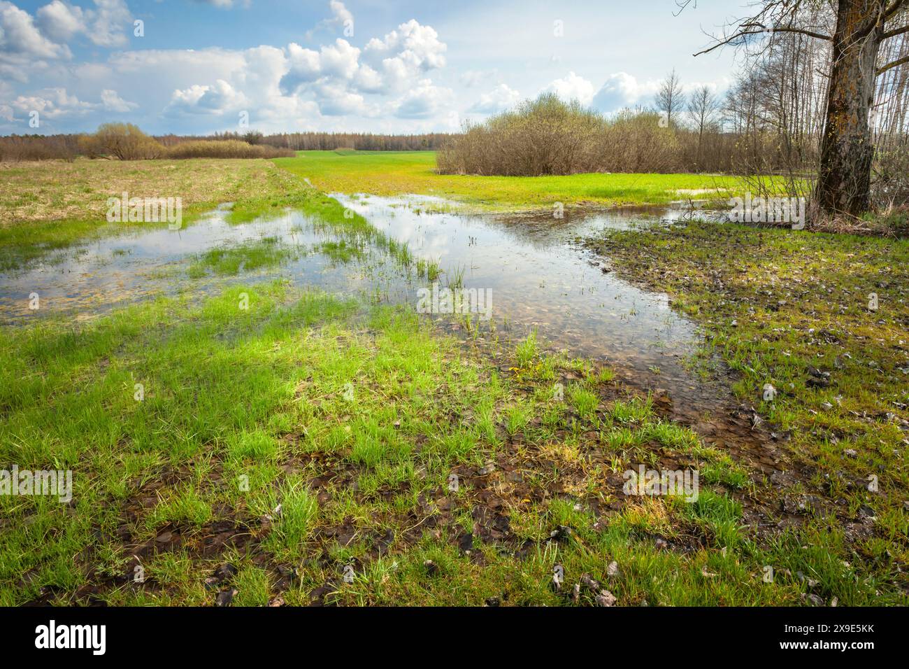Blue water rain heavy hi-res stock photography and images - Alamy