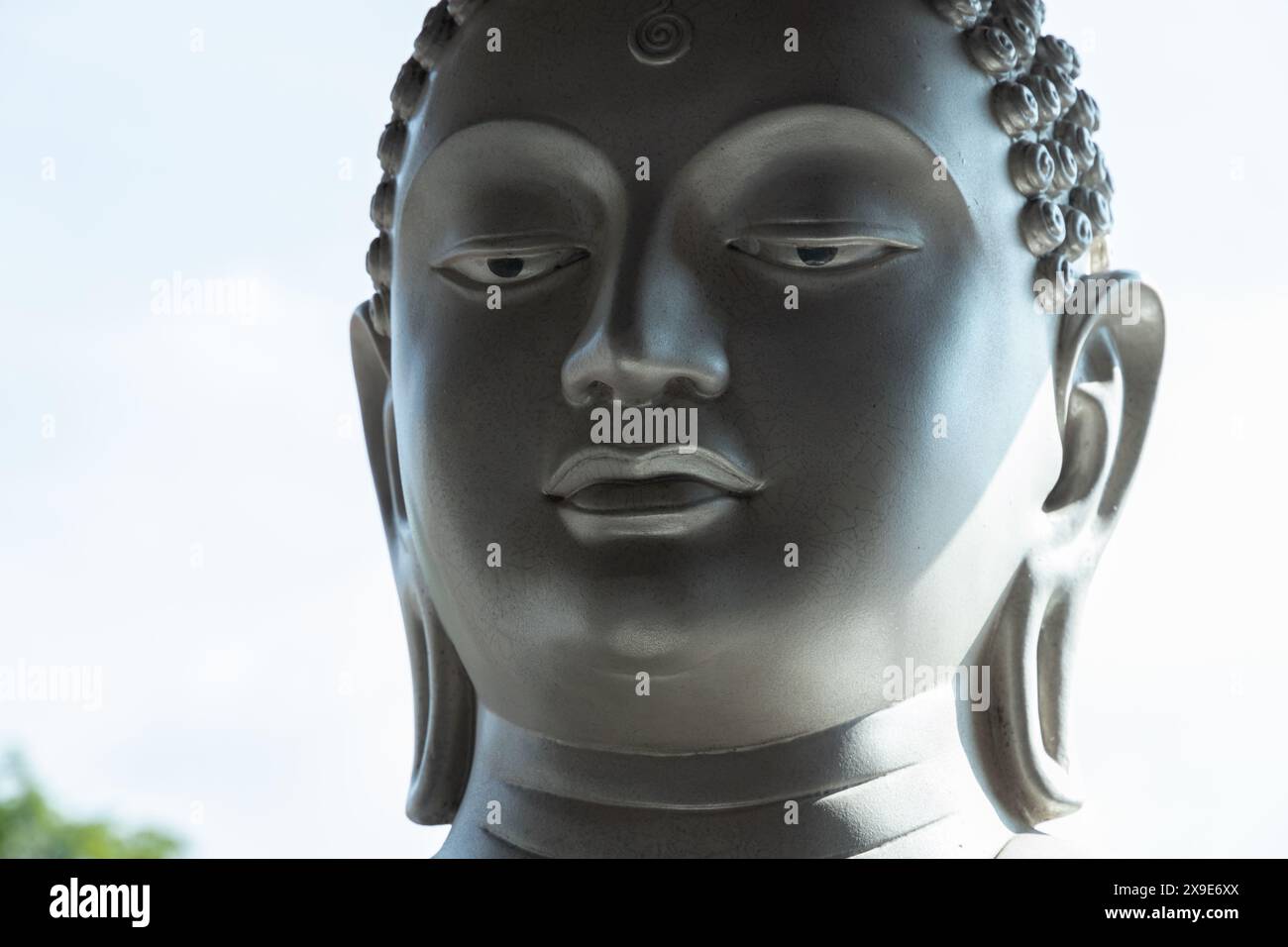 Face of Buddha statue at Gangaramaya Temple, the most important temples ...