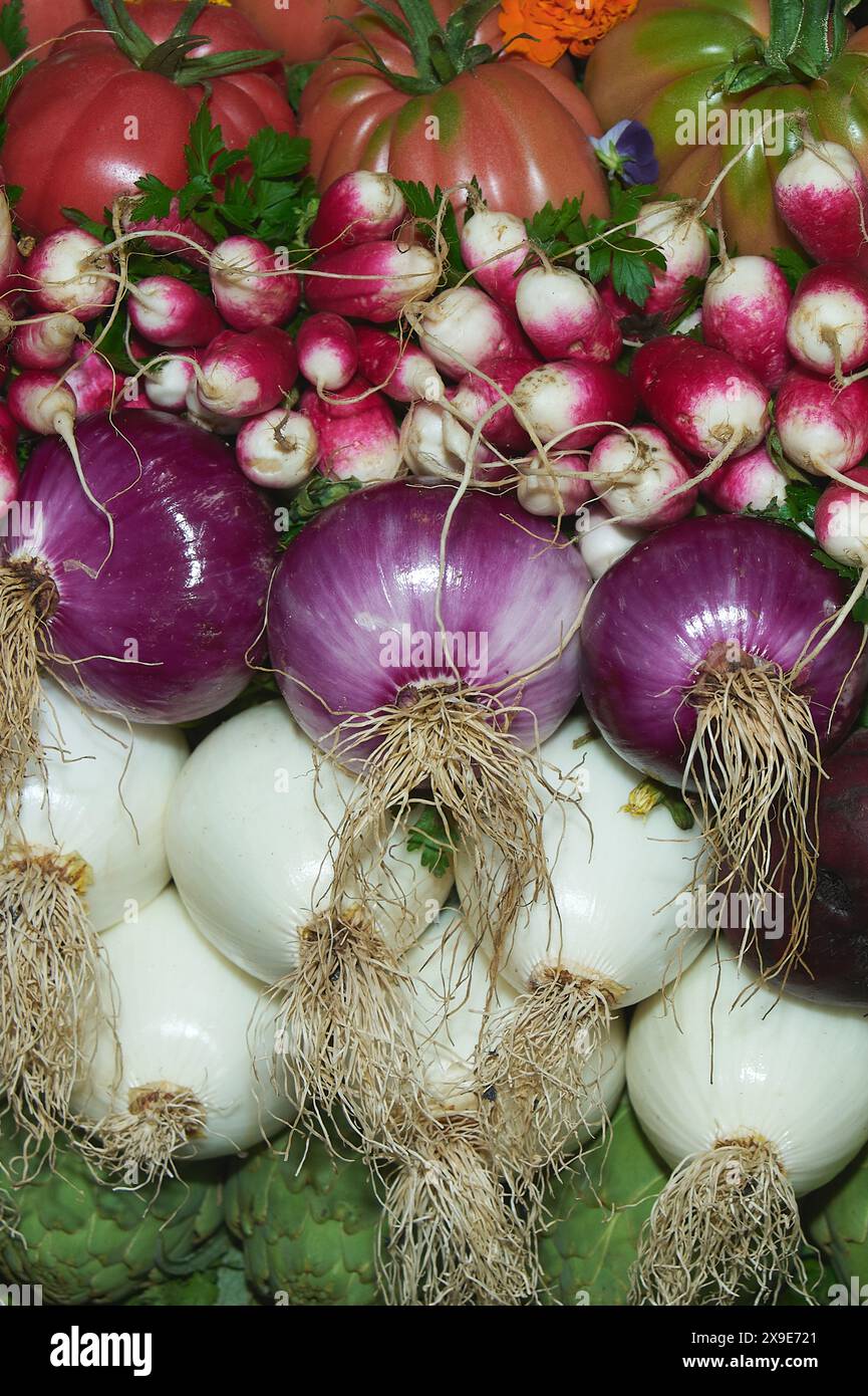 The image shows a variety of fresh vegetables arranged in rows. There ...