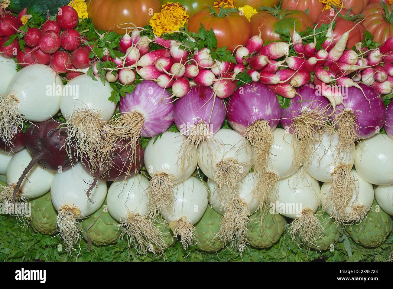 This image is interesting because it showcases a diverse selection of ...