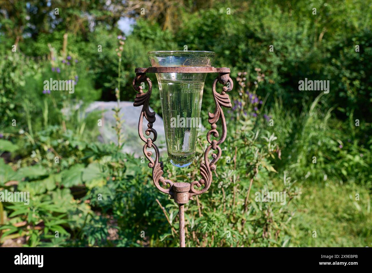 Garten Regenmesser Ein gut gefuelltes Regenwasser Messglas. 24.5.2024 ...