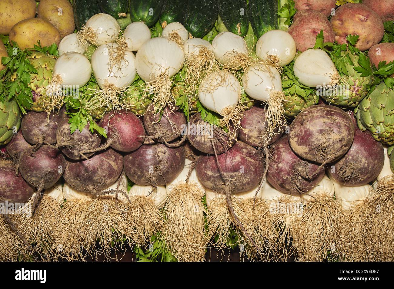 Assortment of purple beets with greens attached alongside white onions ...