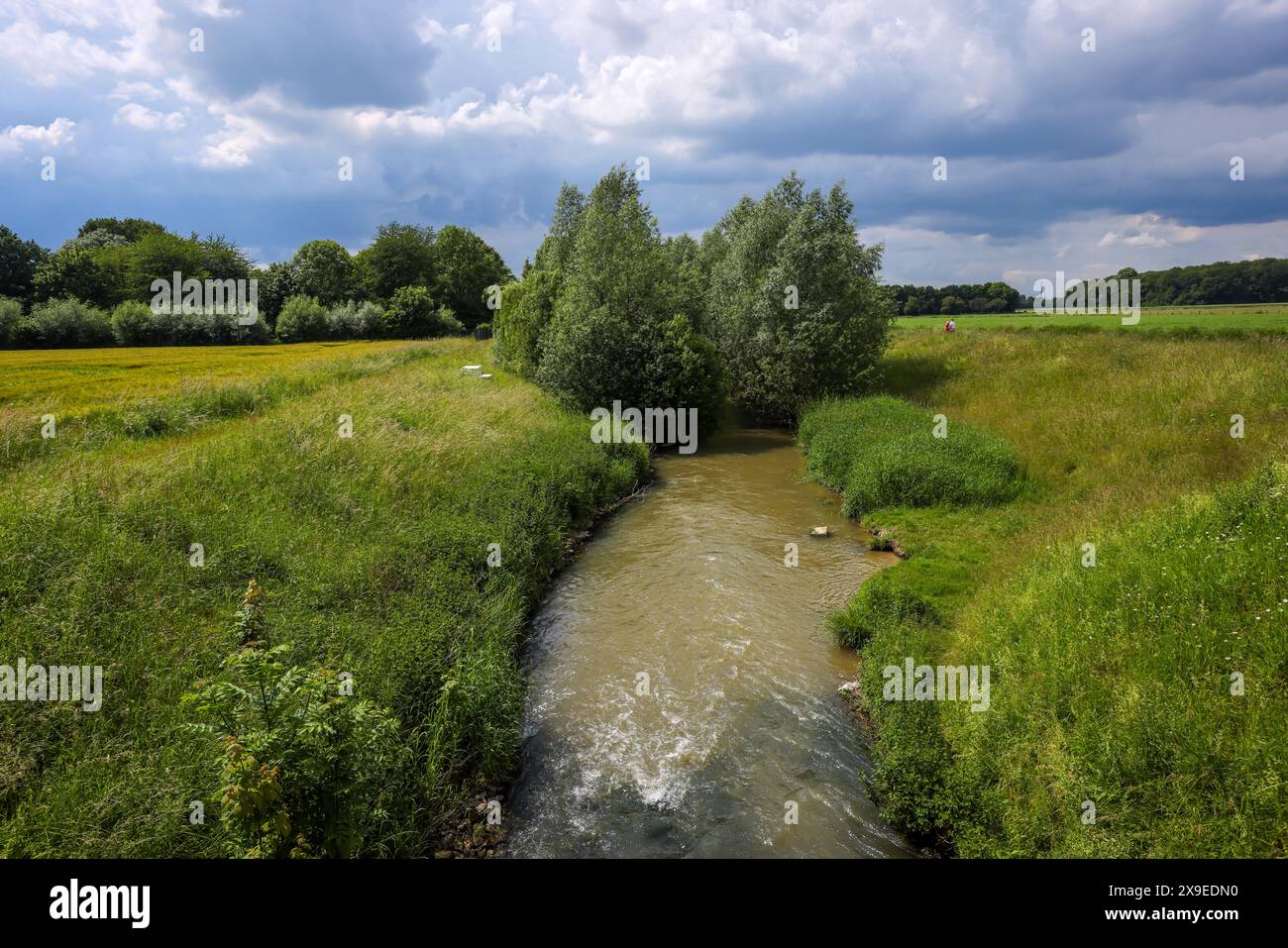 Kamen, Ruhr area, North Rhine-Westphalia, Germany - Spring landscape on ...