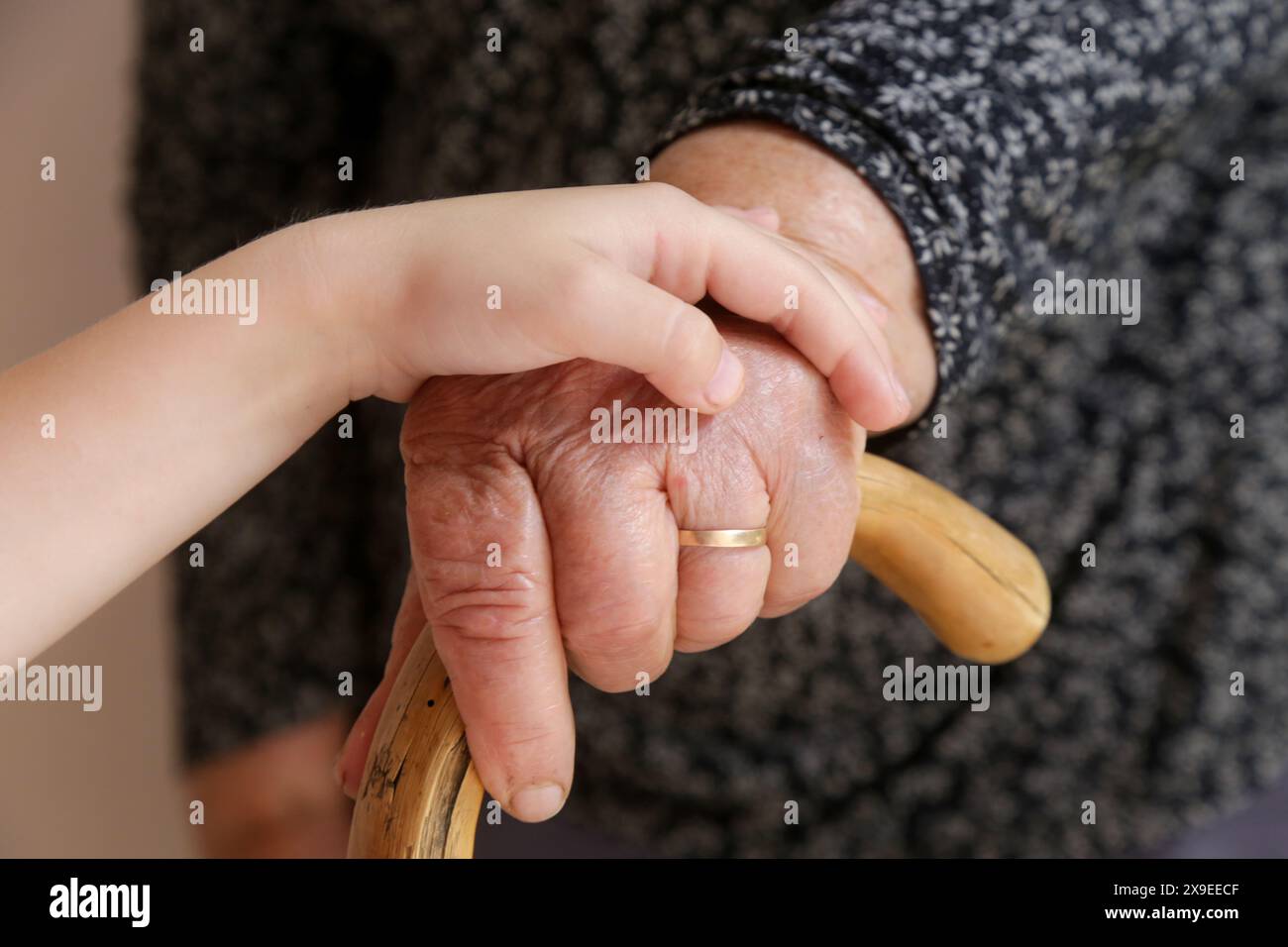 Walking disabilities. Close up of senior disabled woman leaning on her walking stick. Old woman ...
