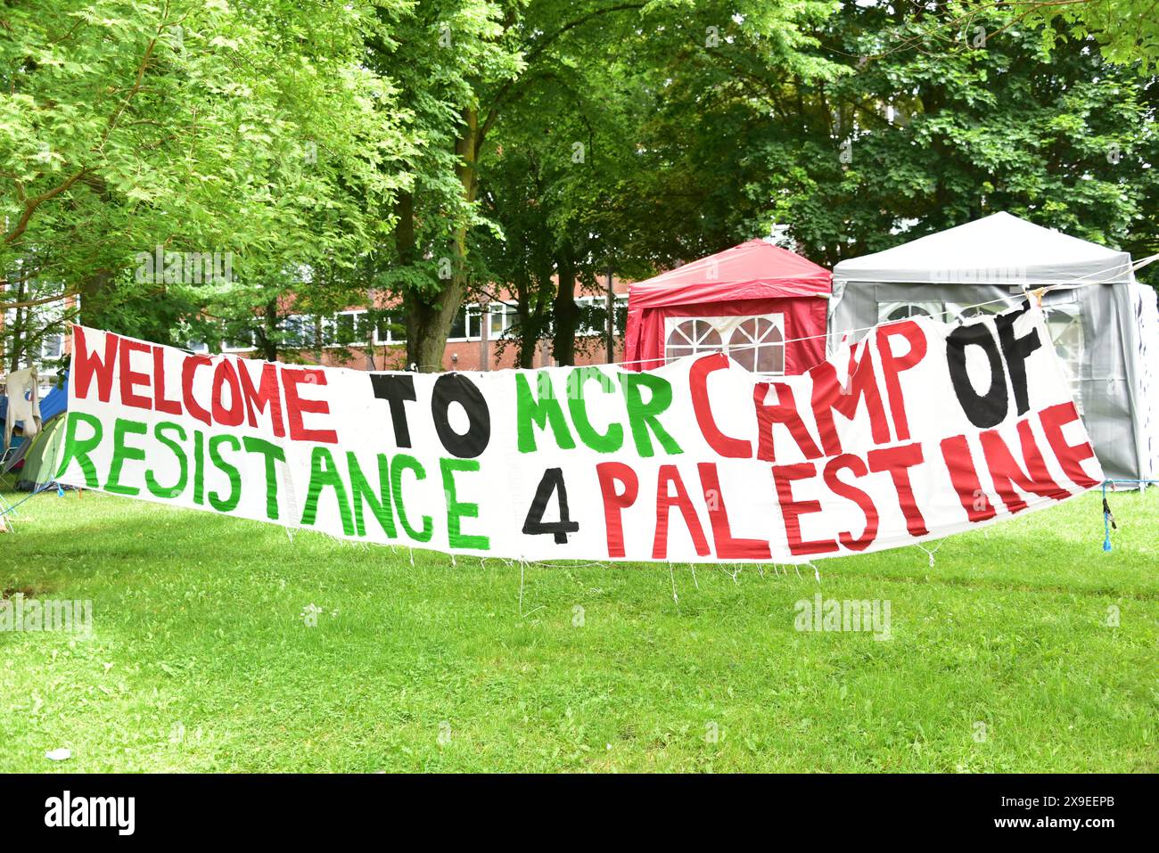 Pro-Palestinian protest and sit in of Whitworth Hall campus building ...