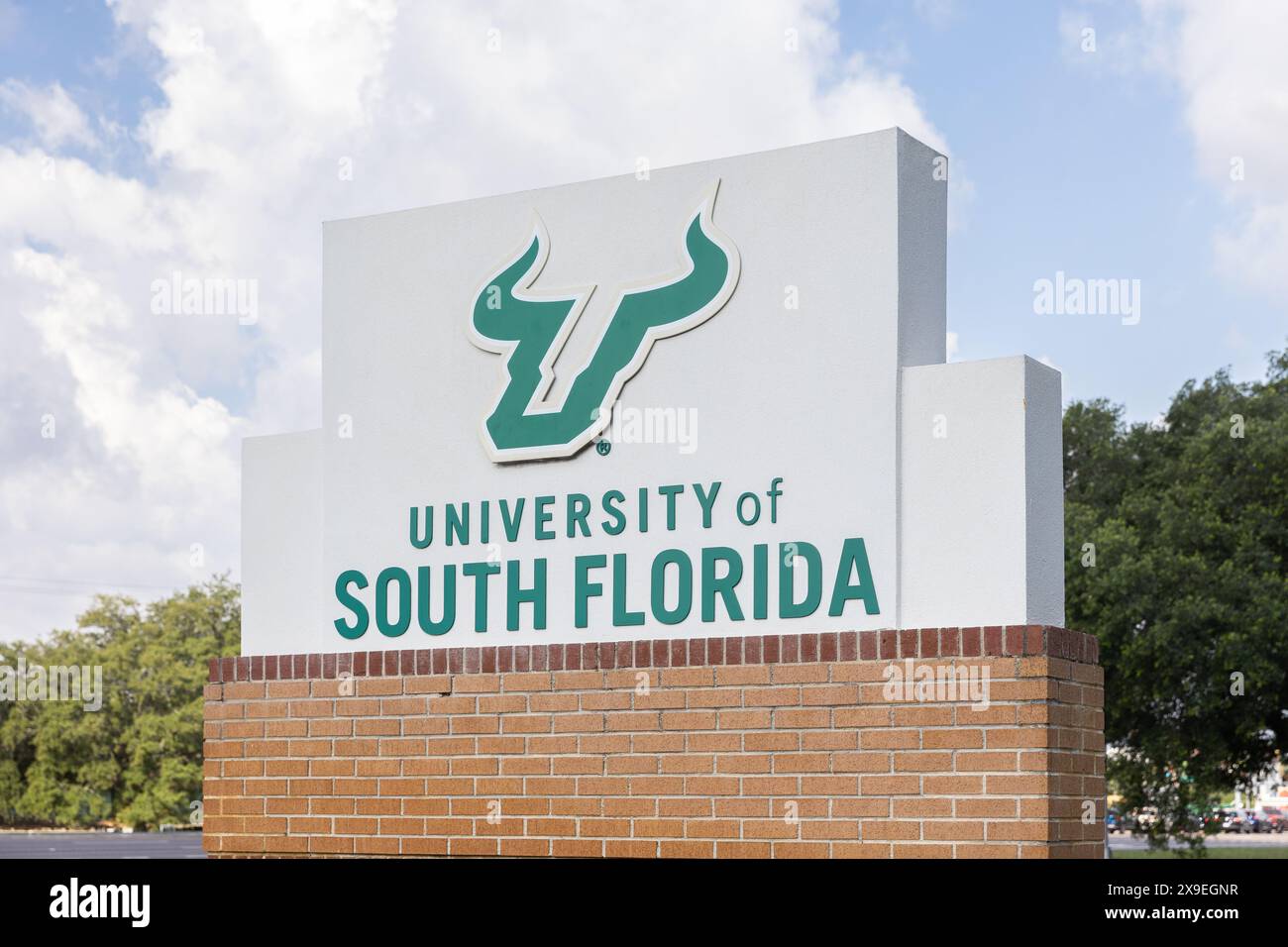 The University of South Florida is a public research university with ...