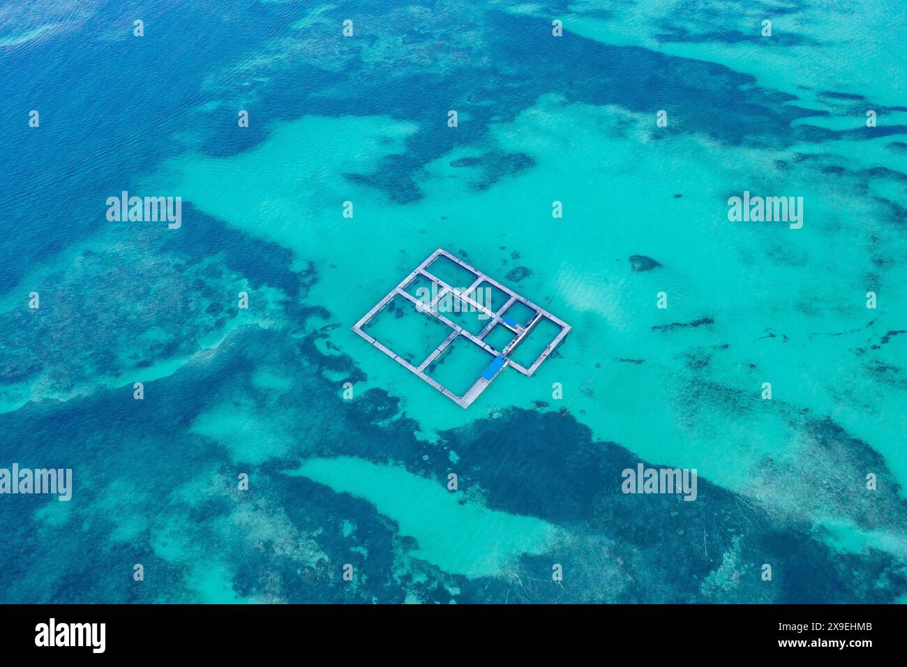Punta Cana Dominican Aquaculture Farm. Local seafood farm in ocean ...