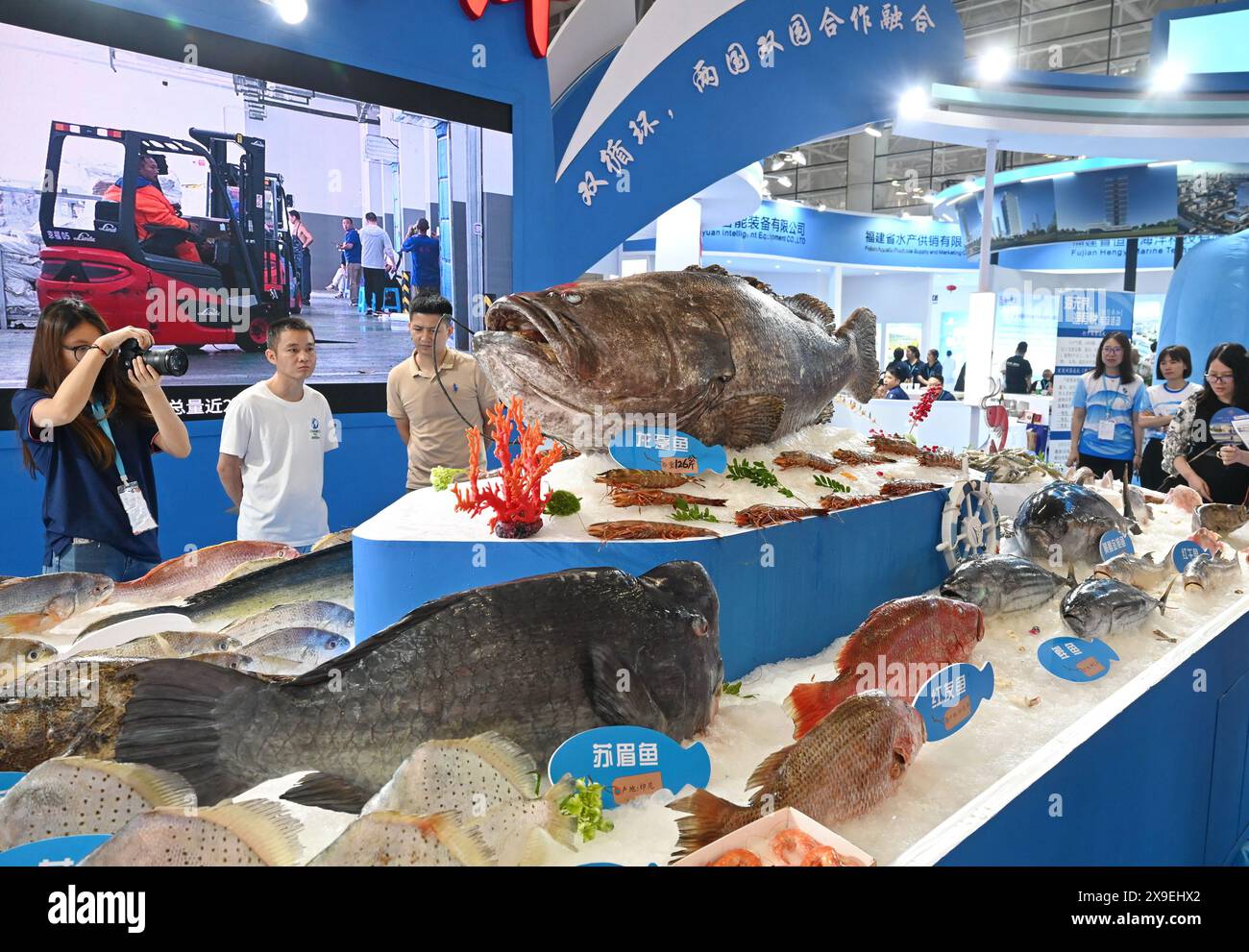 Fuzhou, China's Fujian Province. 31st May, 2024. People visit the 2024 ...