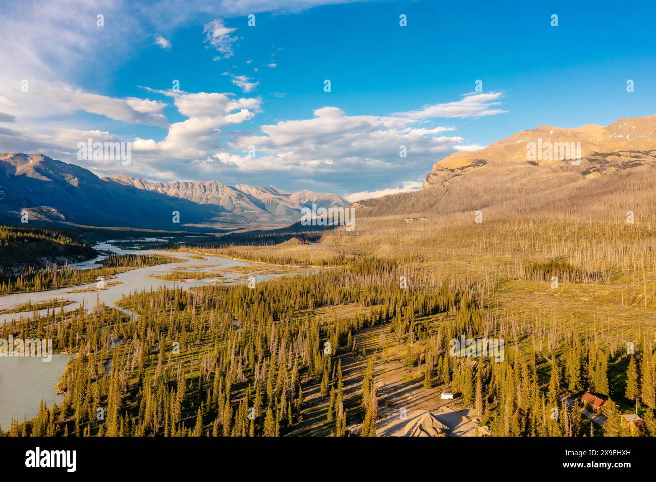 Drone footage winding river under blue clouds in sunlight. Forest ...