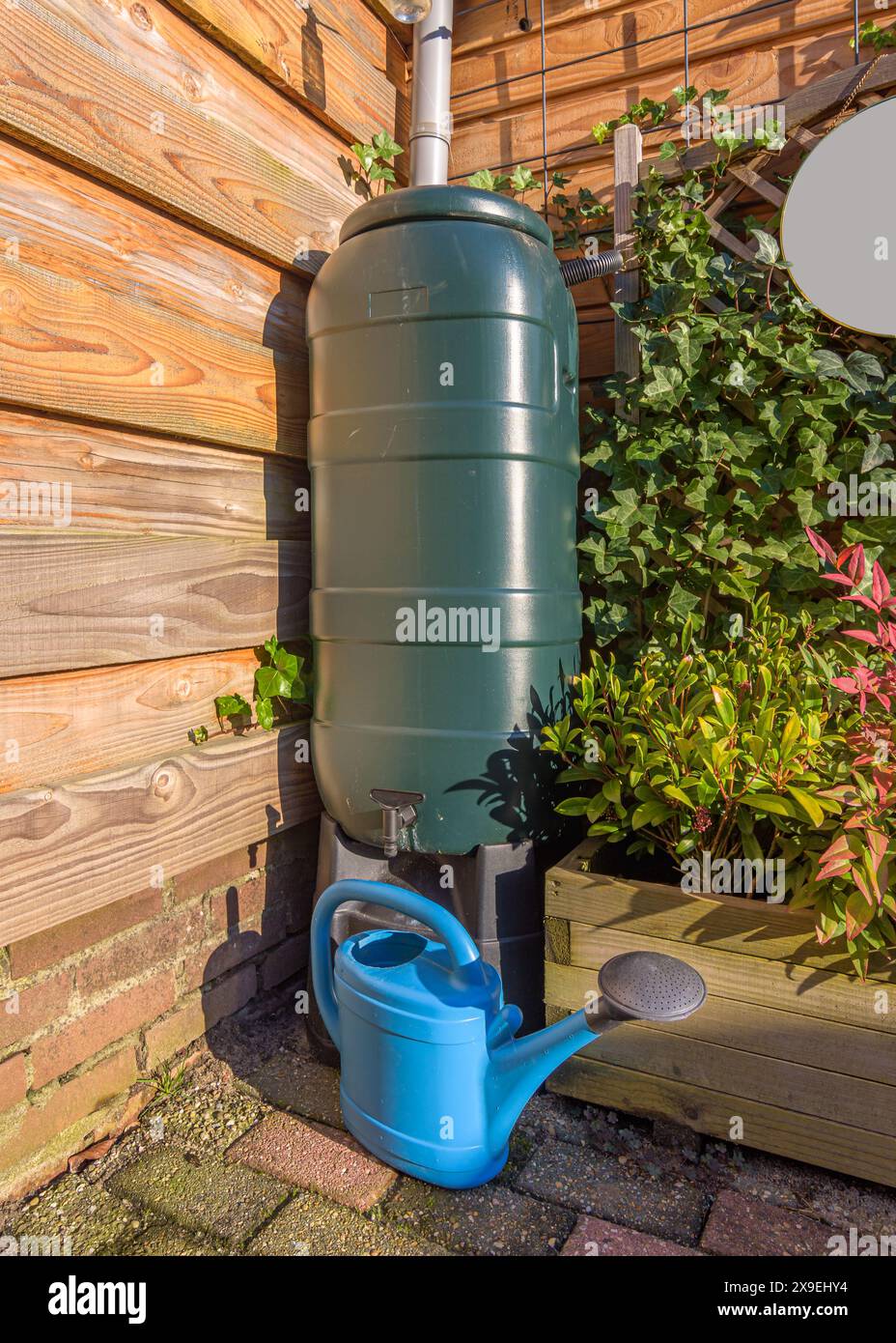 Watering can and rain barrel in a garden hi-res stock photography and ...