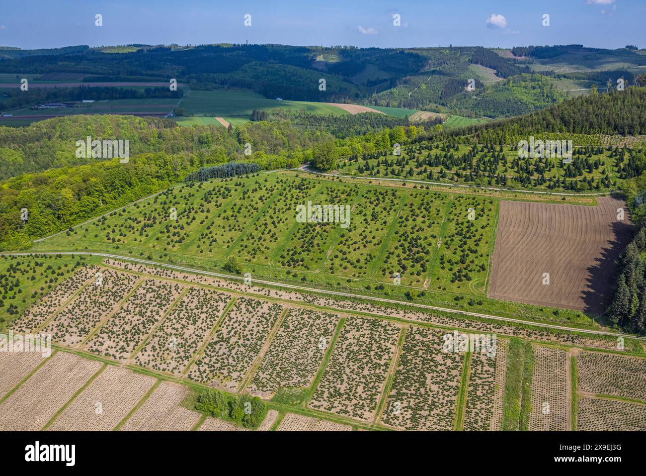 Baumplantagen wiesen und felder hi-res stock photography and images - Alamy