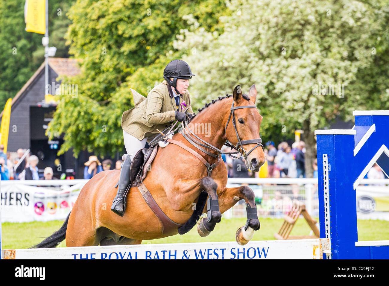 SHEPTON MALLET, SOMERSET, UK, 31st May, 2024, Action from the Mounted Team Relay show jumping ...