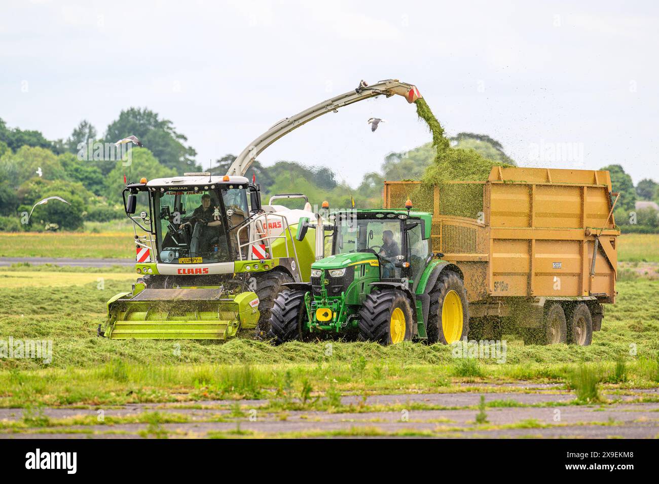 Farmer cutting silage hi-res stock photography and images - Alamy