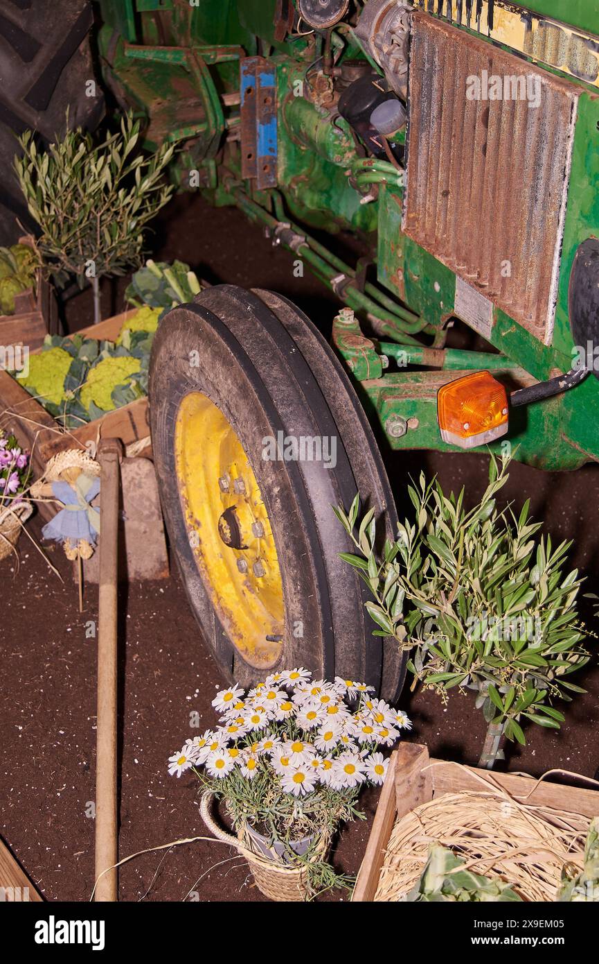 Charming image of an old tractor in a rural setting, surrounded by ...