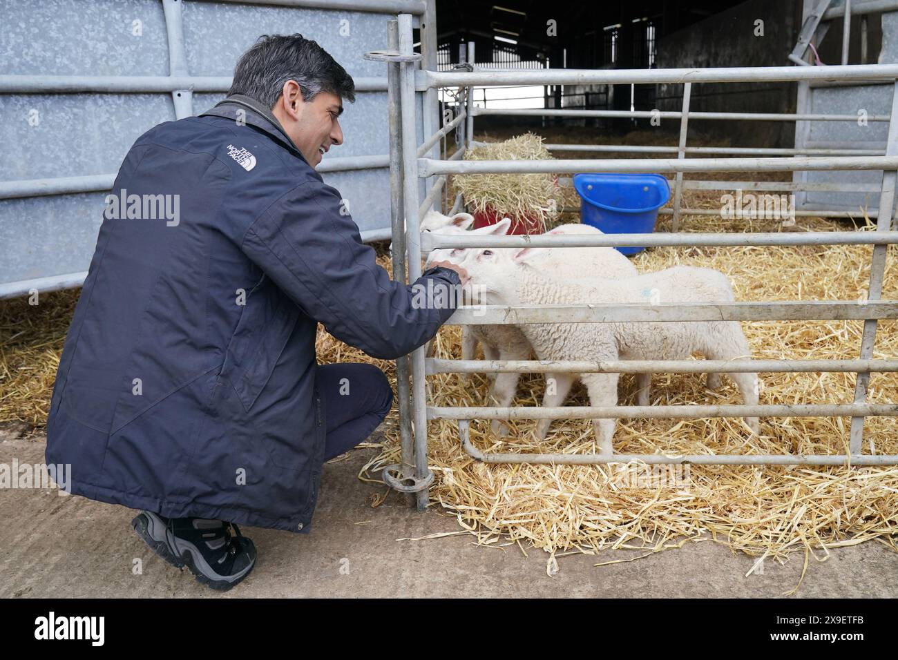 Prime Minister Rishi Sunak meeting lambs during a visit to Rowlinson's ...