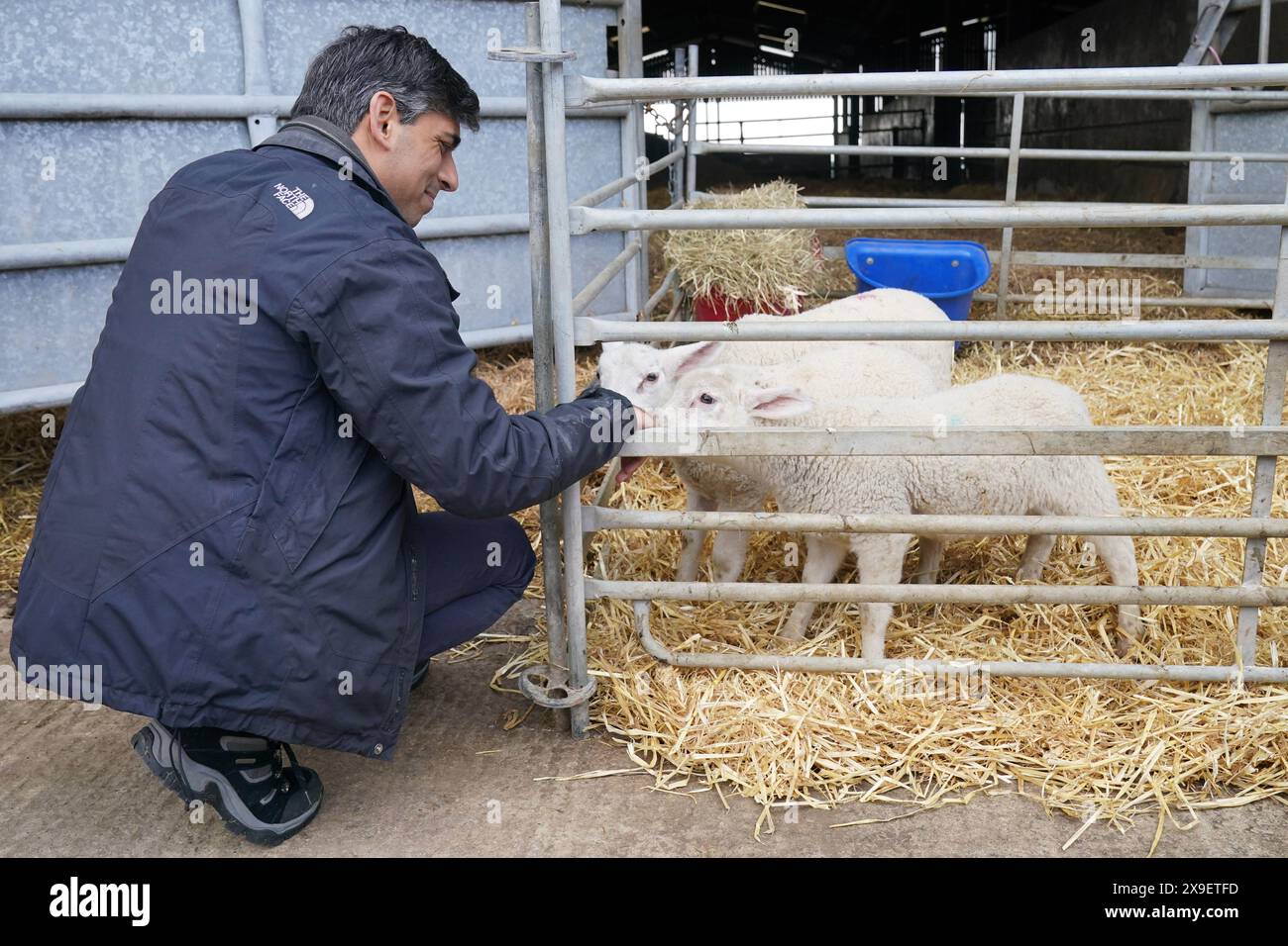 Prime Minister Rishi Sunak meeting lambs during a visit to Rowlinson's ...
