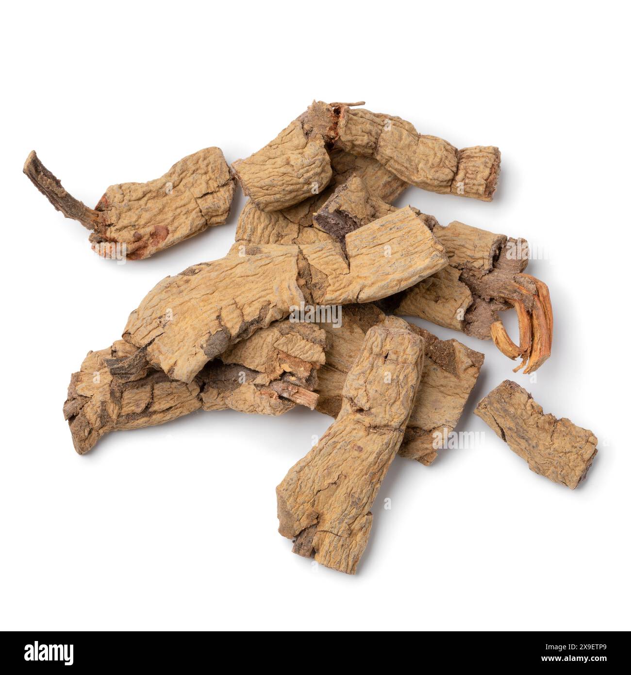 Morinda officinalis hi-res stock photography and images - Alamy