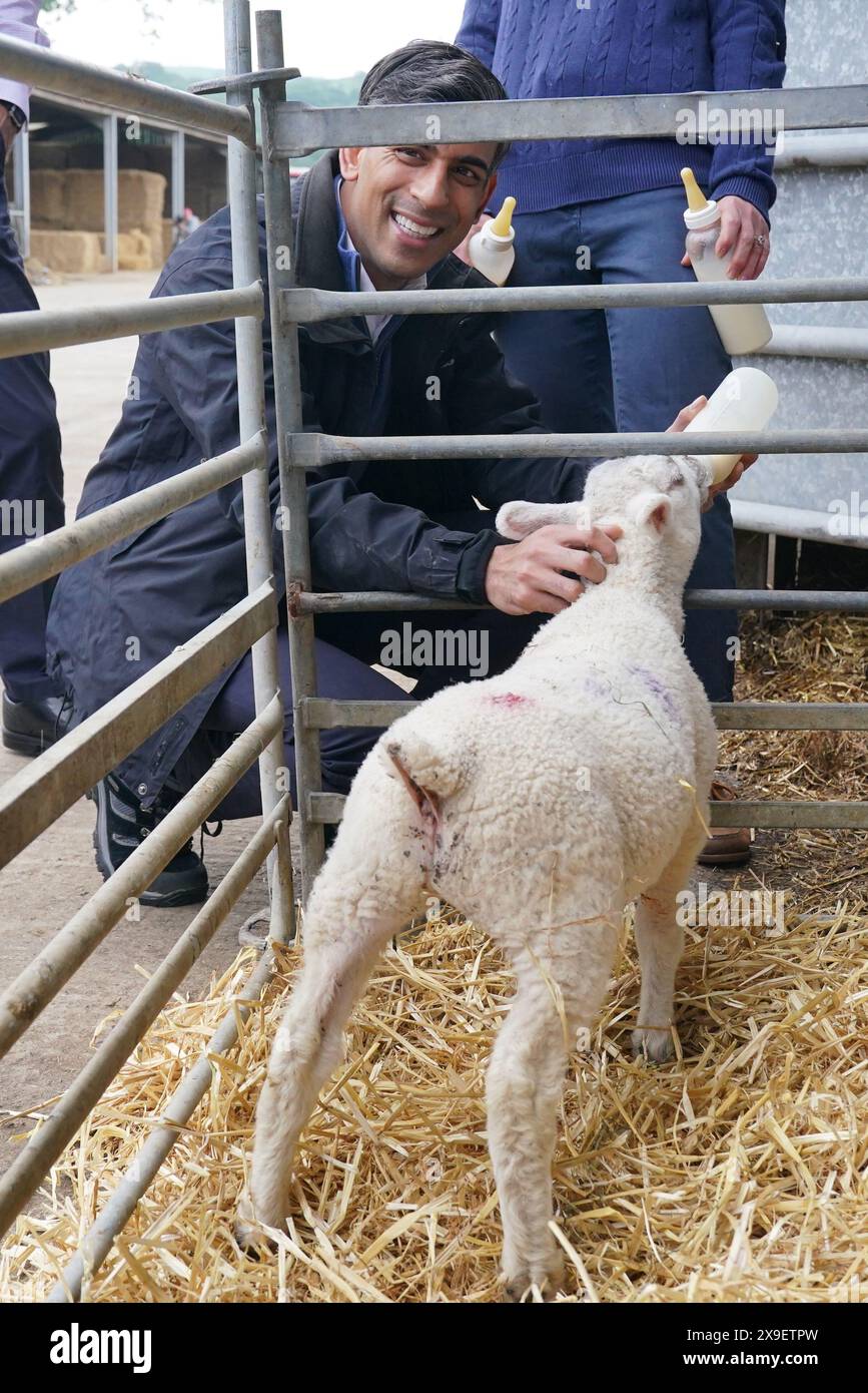 Prime Minister Rishi Sunak bottle feeding a lamb during a visit to ...