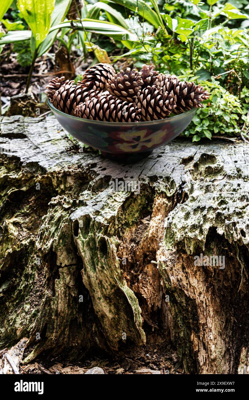 minimalist still life vertical image with copy space of a decorated ...