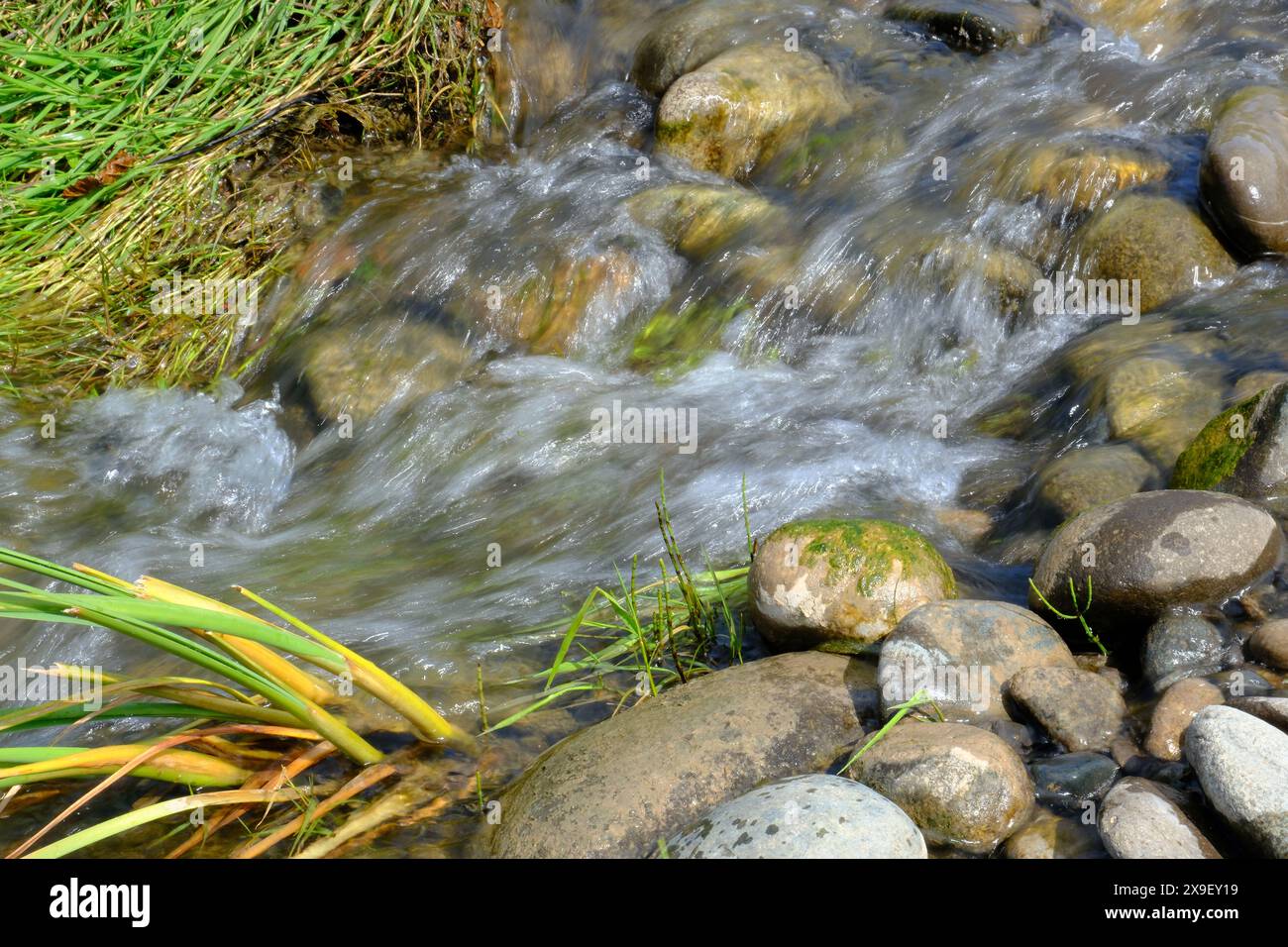 Small stream flows over stones hi-res stock photography and images - Alamy