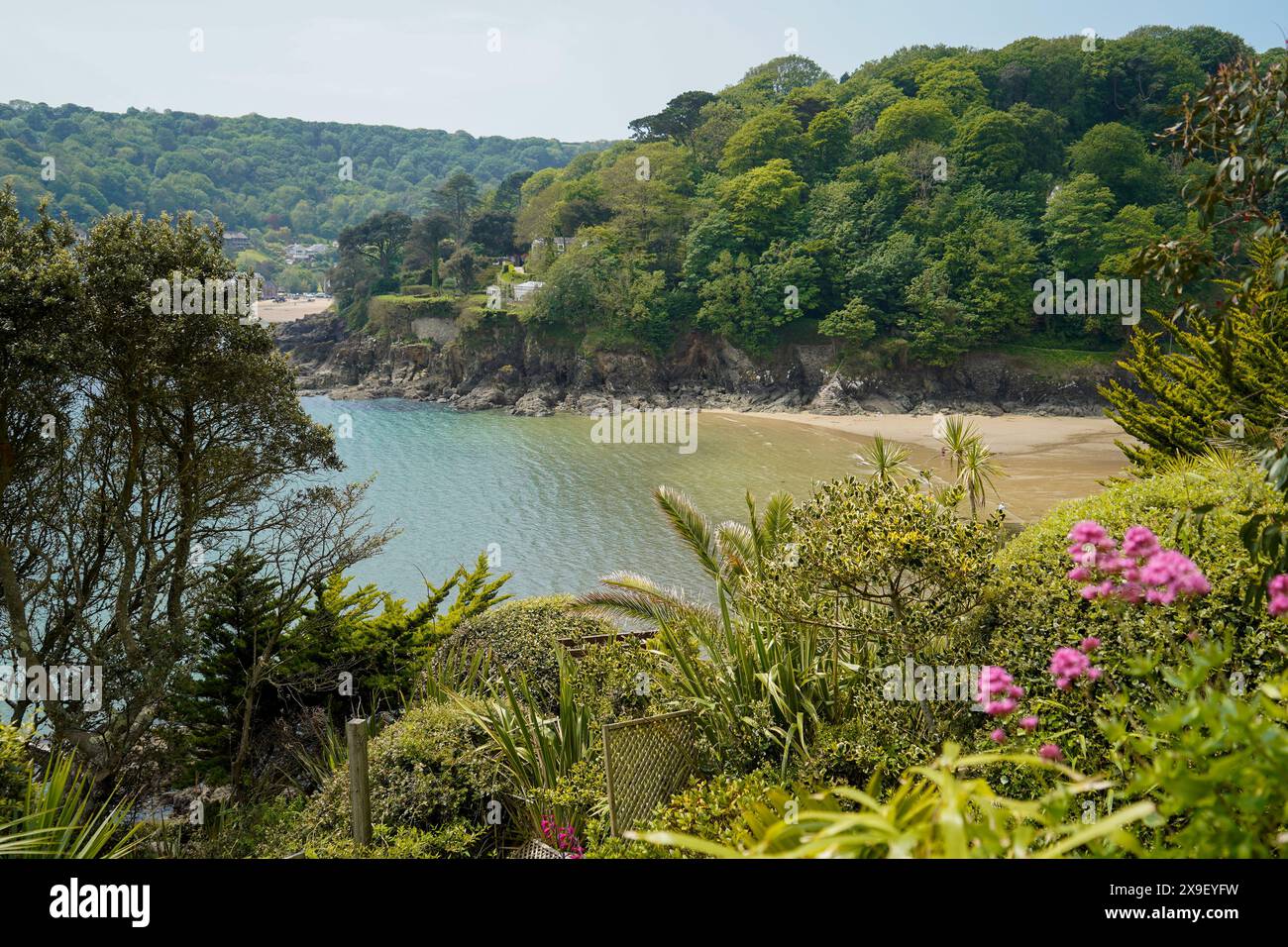 The North Sands Beach near Salcombe Stock Photo - Alamy