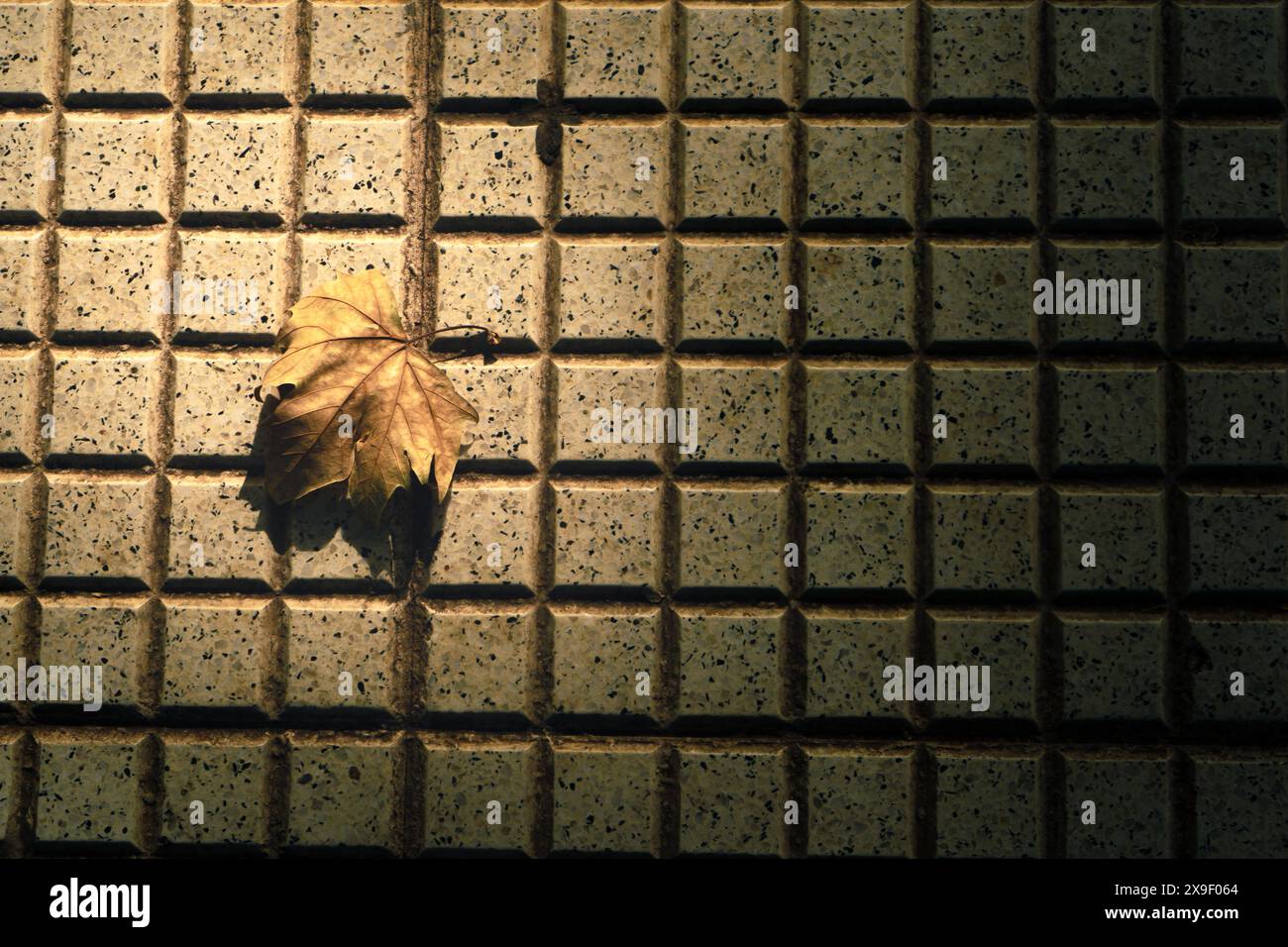 A detail of a leaf on a white granite mosaic grid Stock Photo - Alamy