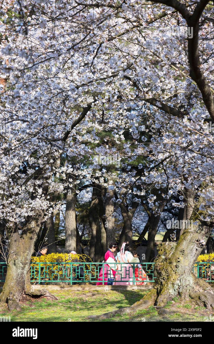 Women wearing traditional dresses in Daereungwon Tomb Complex (UNESCO ...