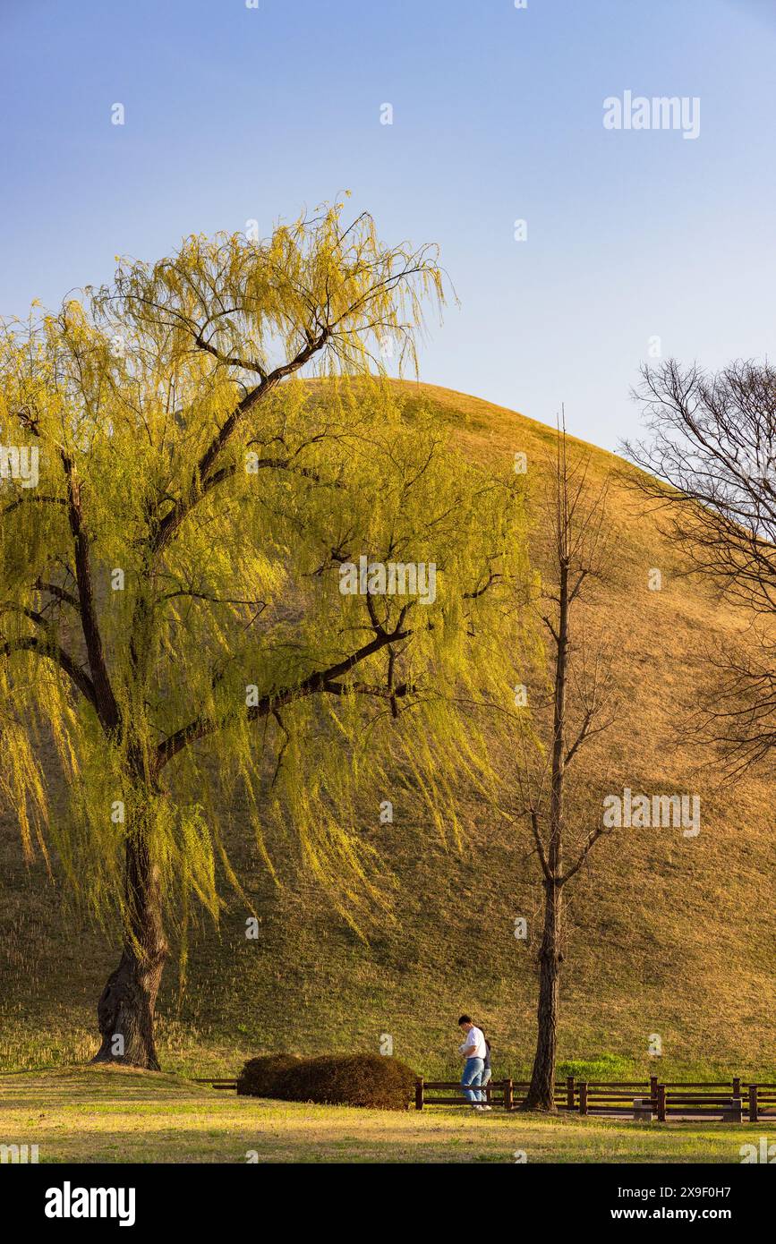 Daereungwon Tomb Complex (UNESCO World Heritage Site), Gyeongju, South ...