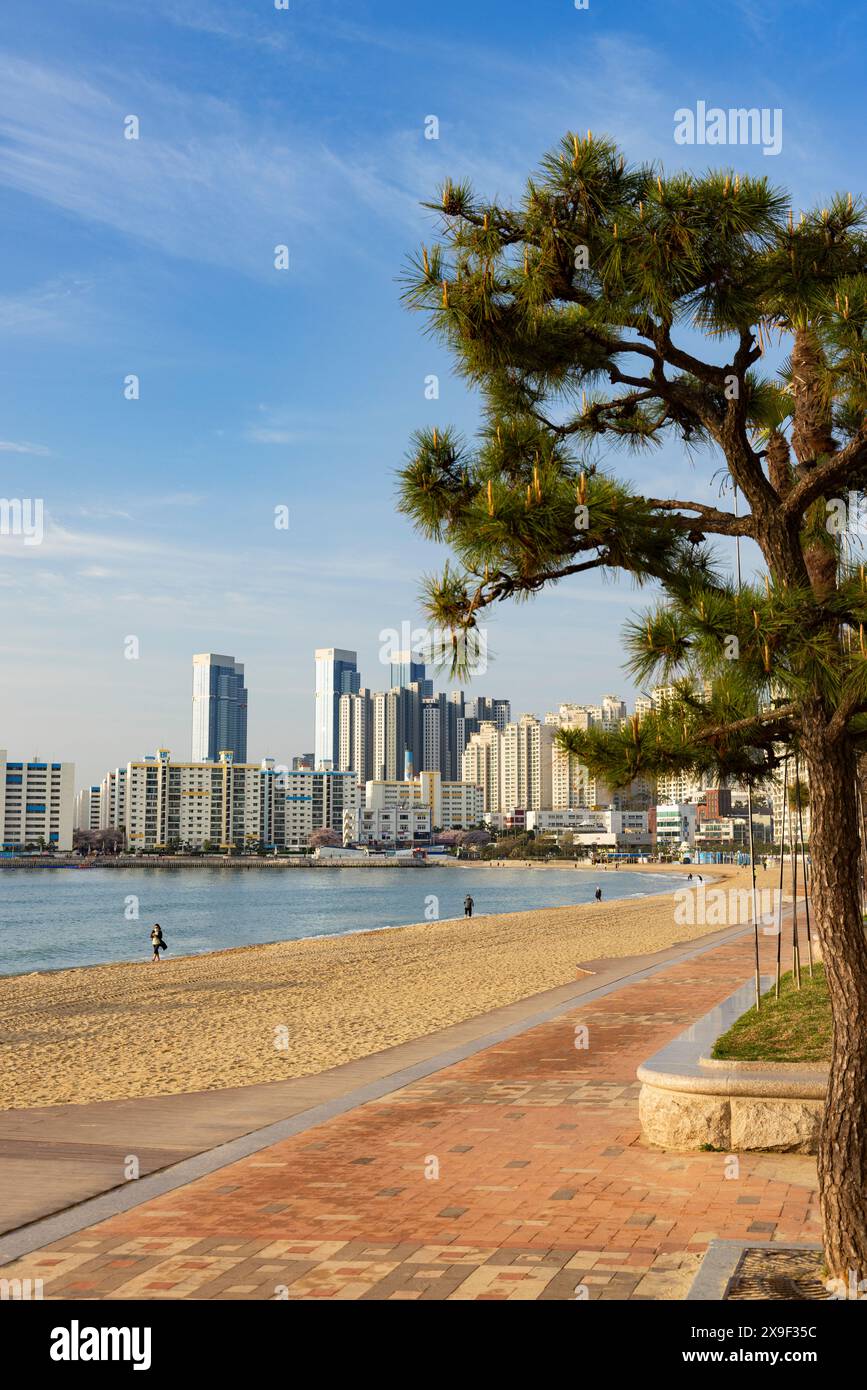 Gwangalli Beach, Busan, South Korea Stock Photo - Alamy