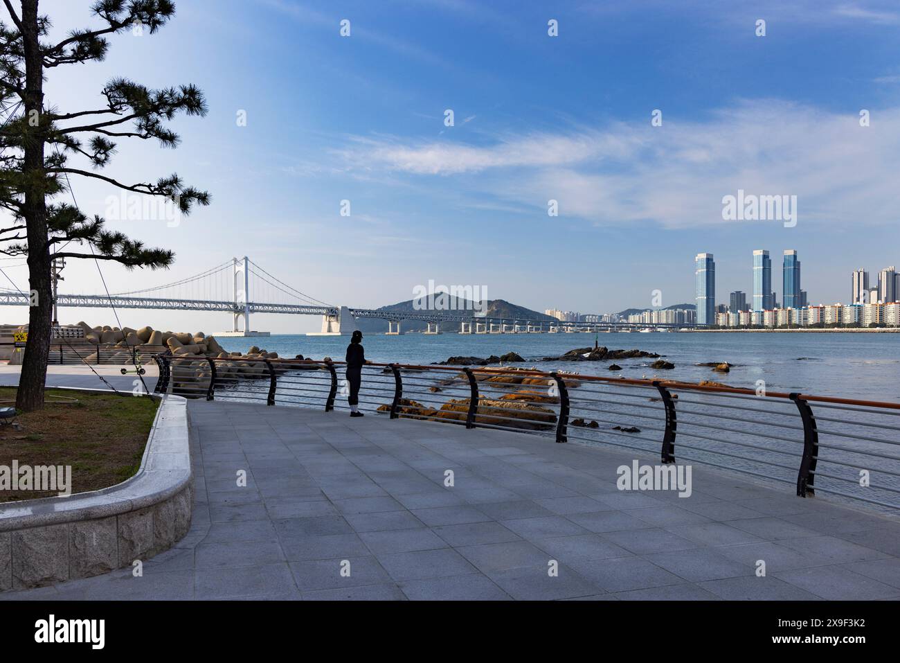 Gwangalli Beach and Gwangan Bridge, Busan, South Korea Stock Photo - Alamy