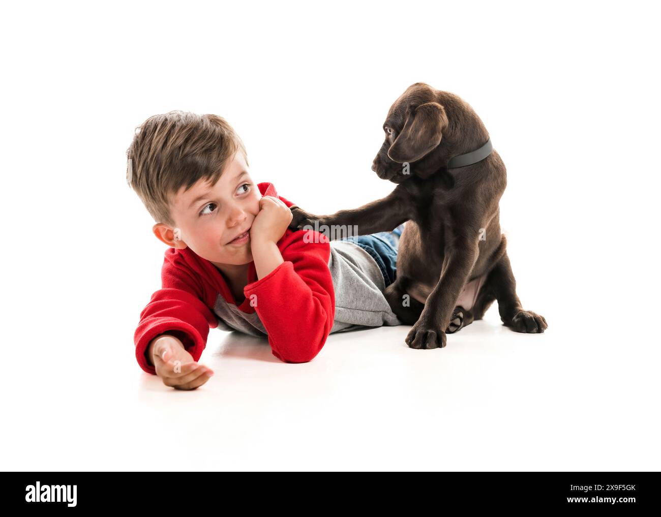 cute five year old boy studio portrait on white background with his ...