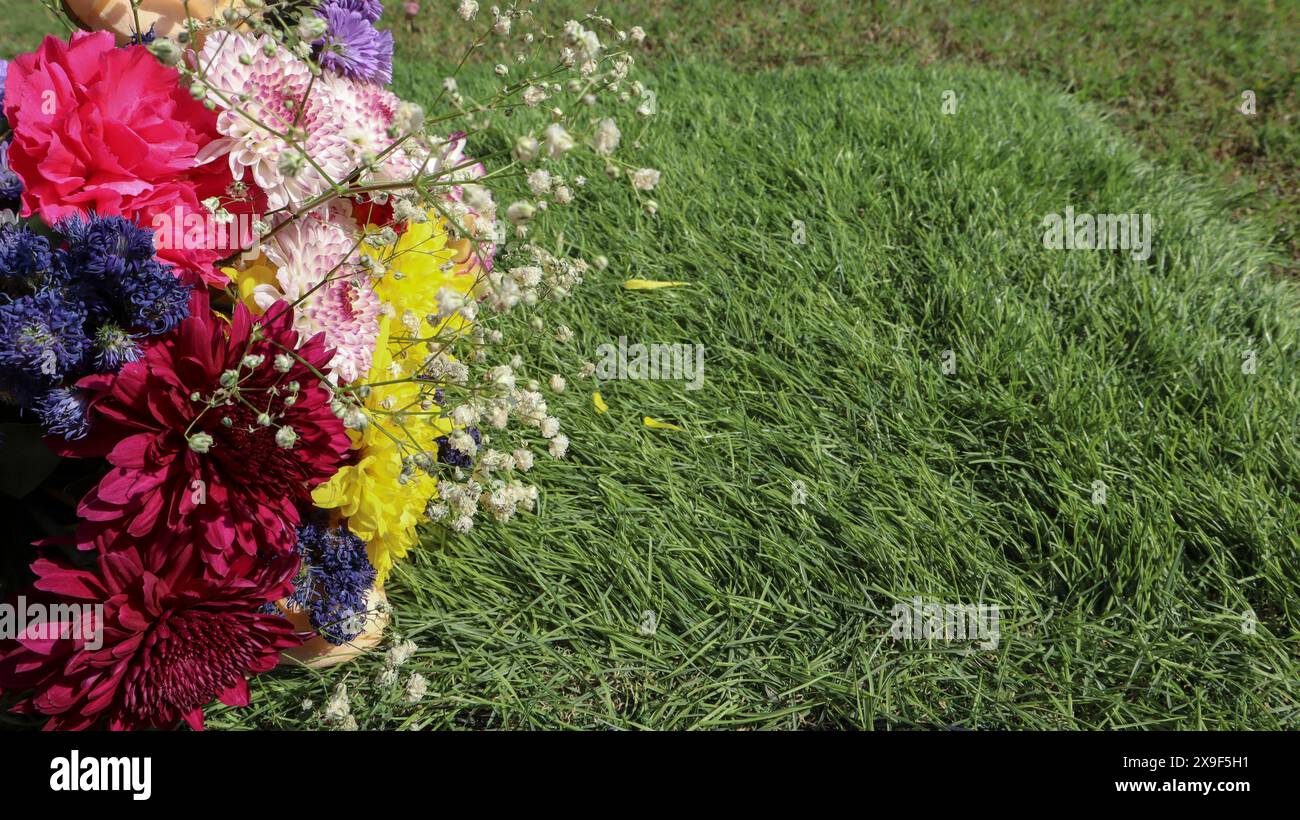 Fresh Flower background with Green grass wallpaper, blank space to ...