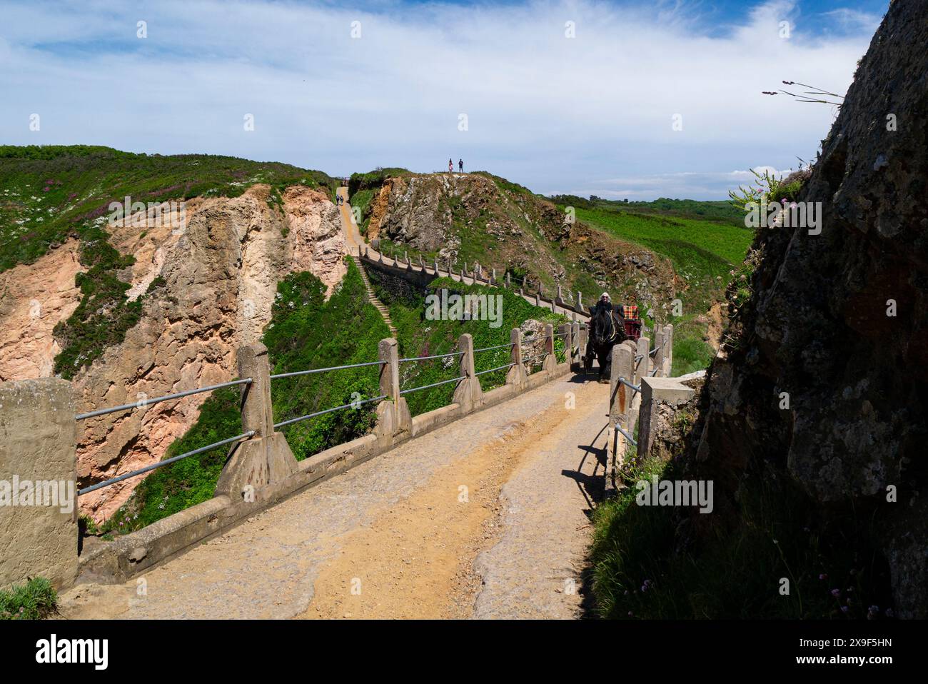 Woman driving horse drawn carriage across vertiginous land bridge La ...