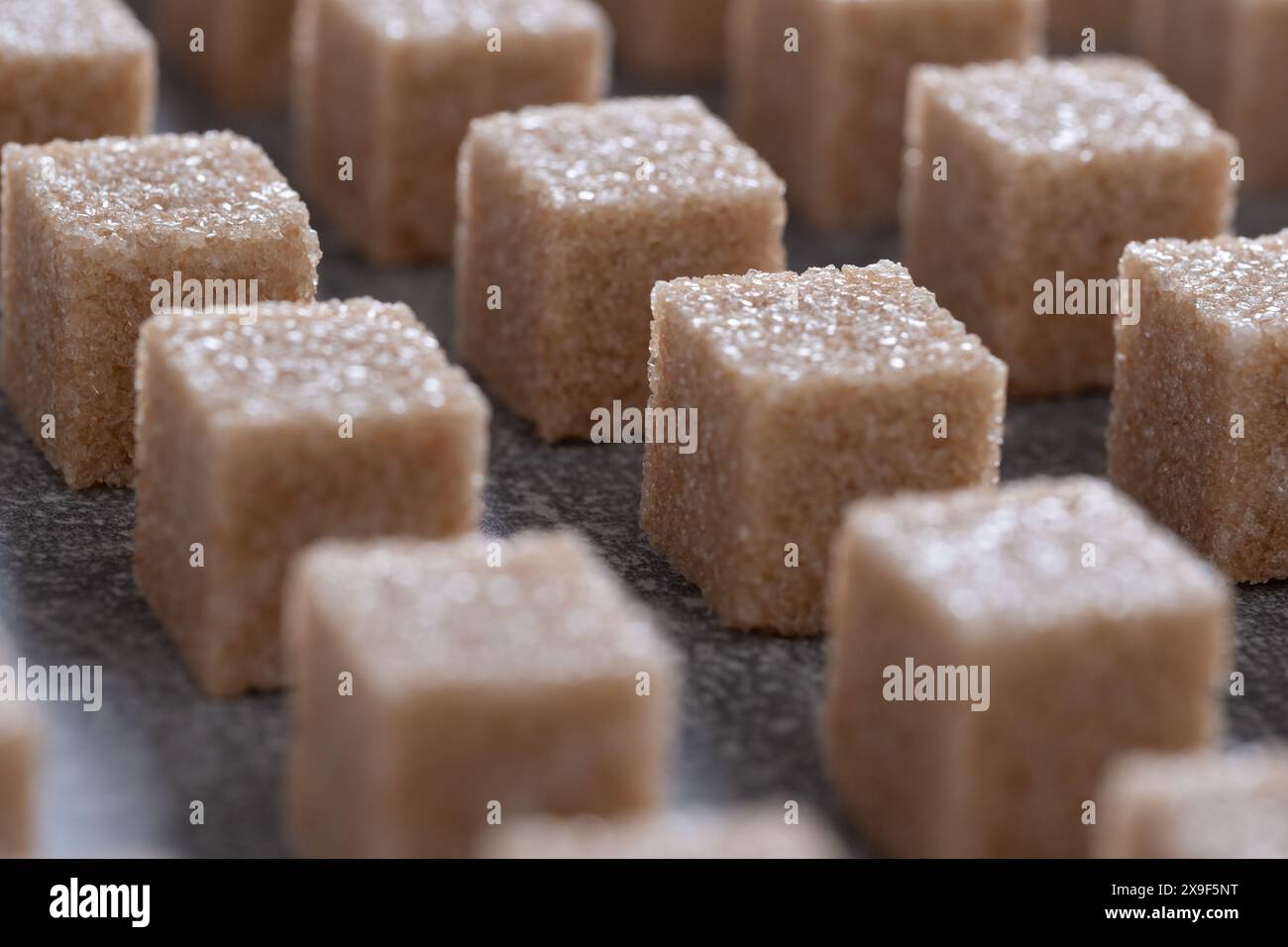 Sugar cane rows hi-res stock photography and images - Alamy