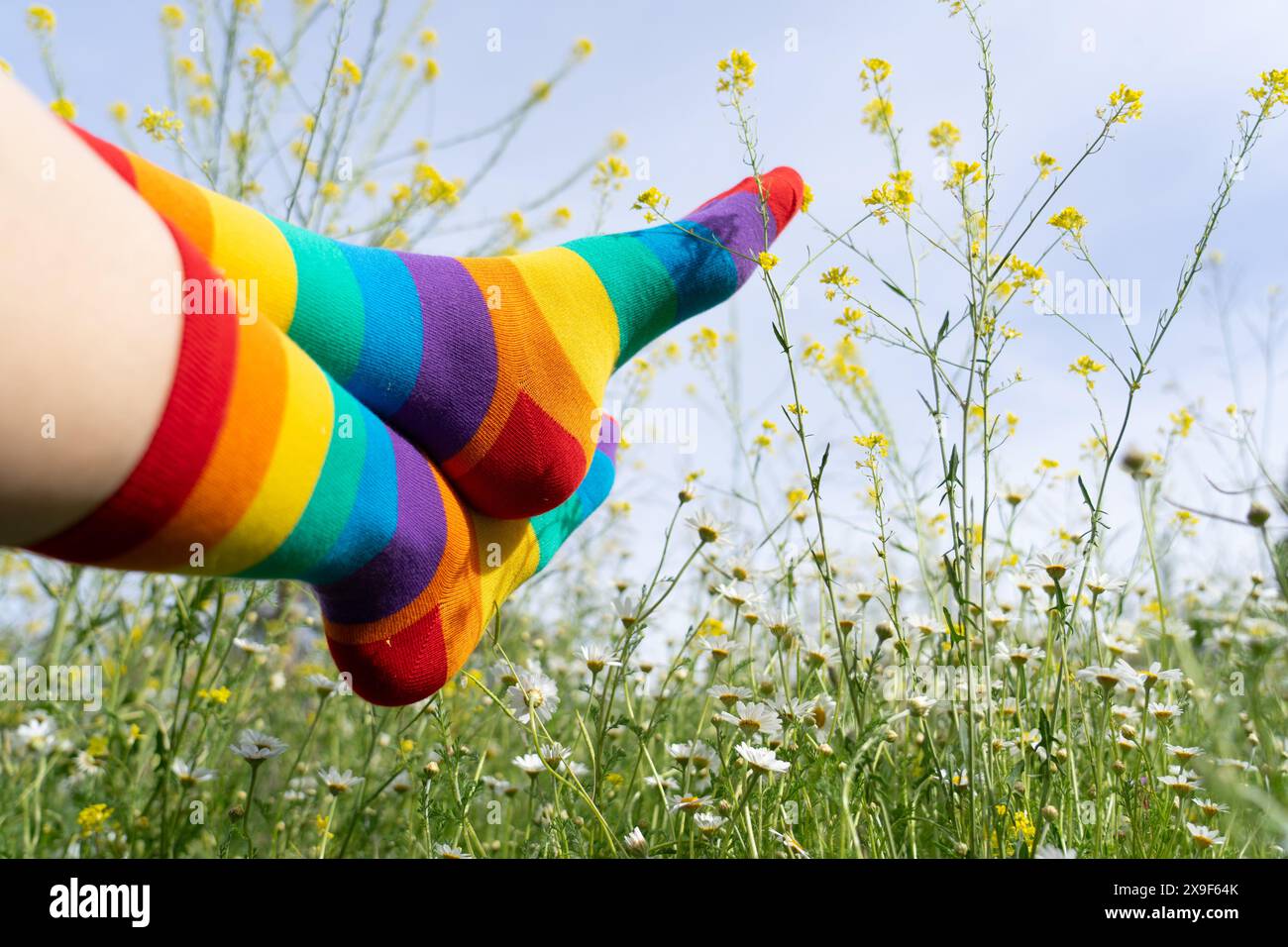 Feet with LGBT flag rainbow socks in a field of flowers Stock Photo - Alamy