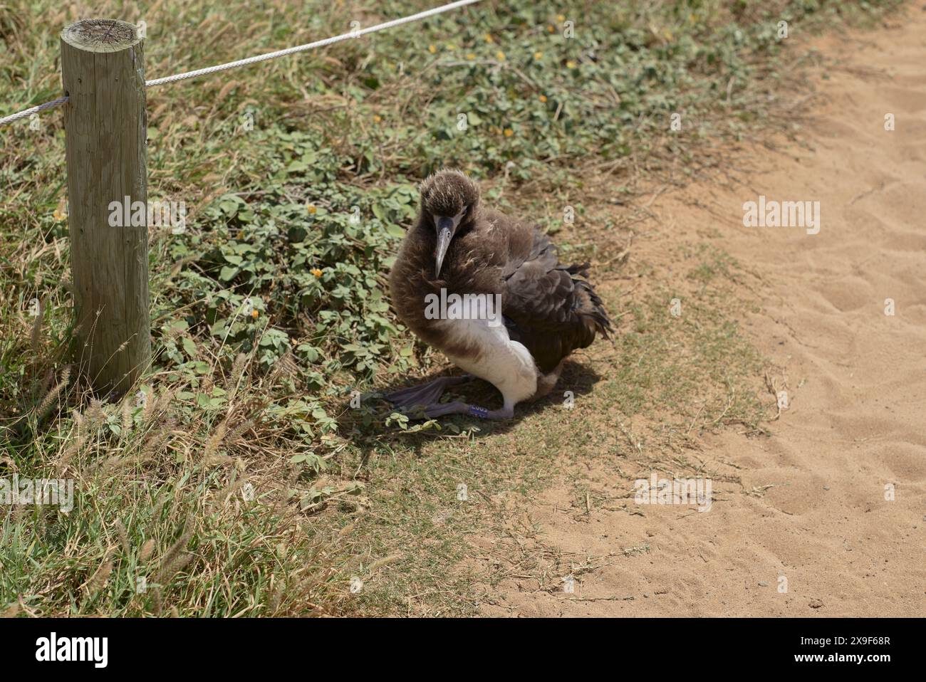 Keawula hi-res stock photography and images - Alamy