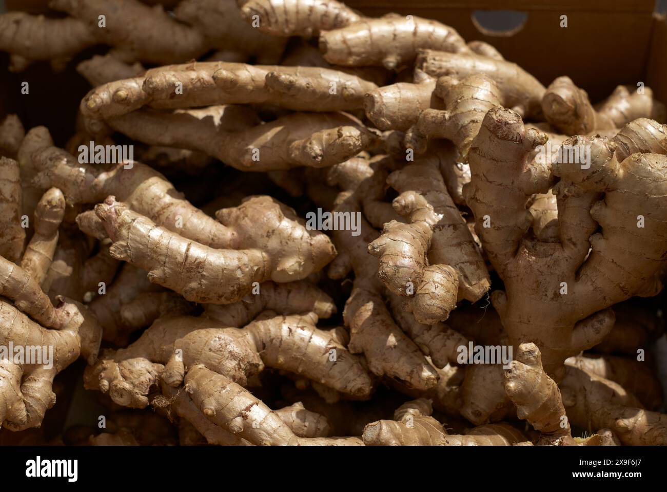 Ginger root stacked Stock Photo - Alamy