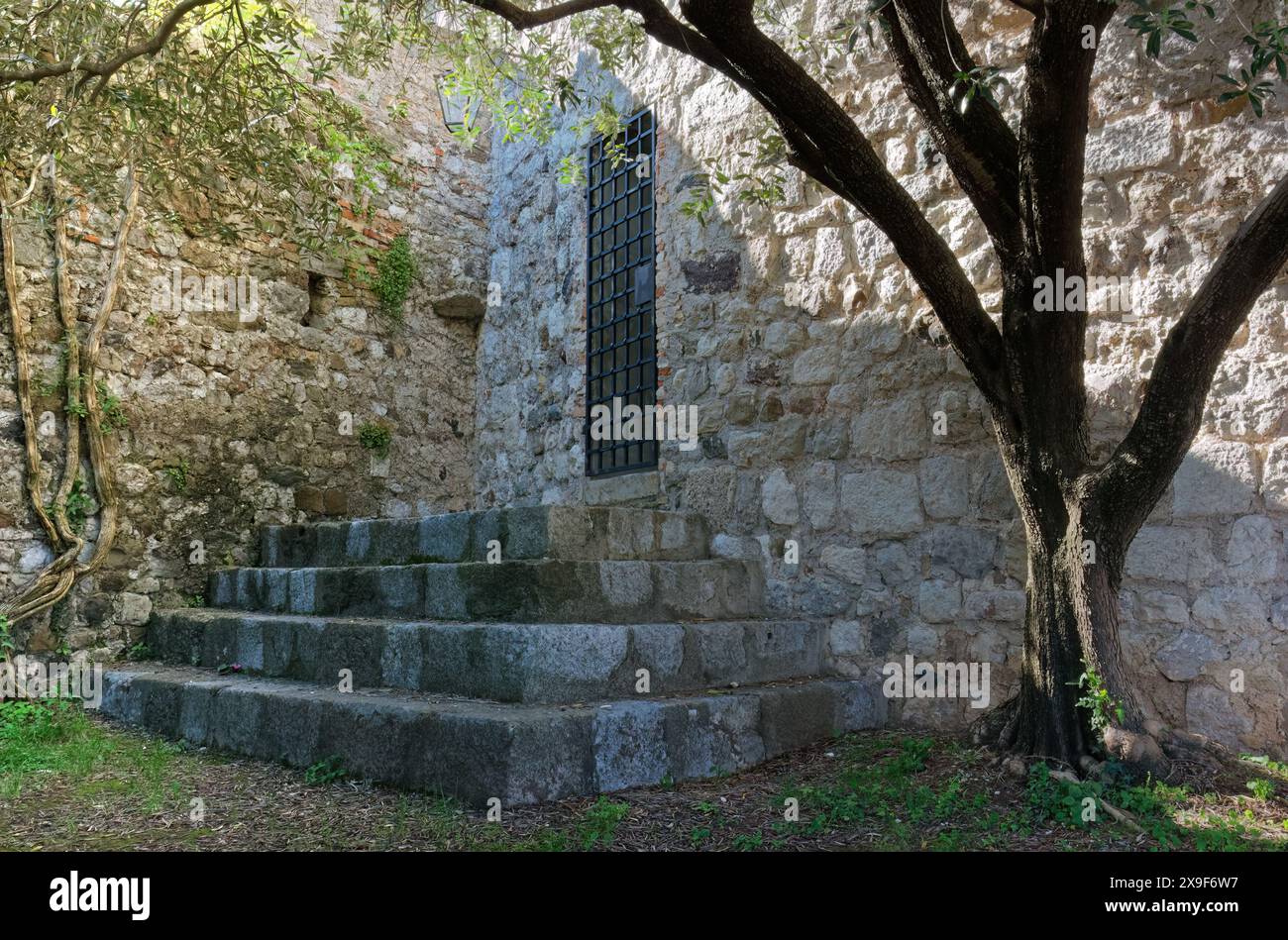 Olive green door hi-res stock photography and images - Alamy