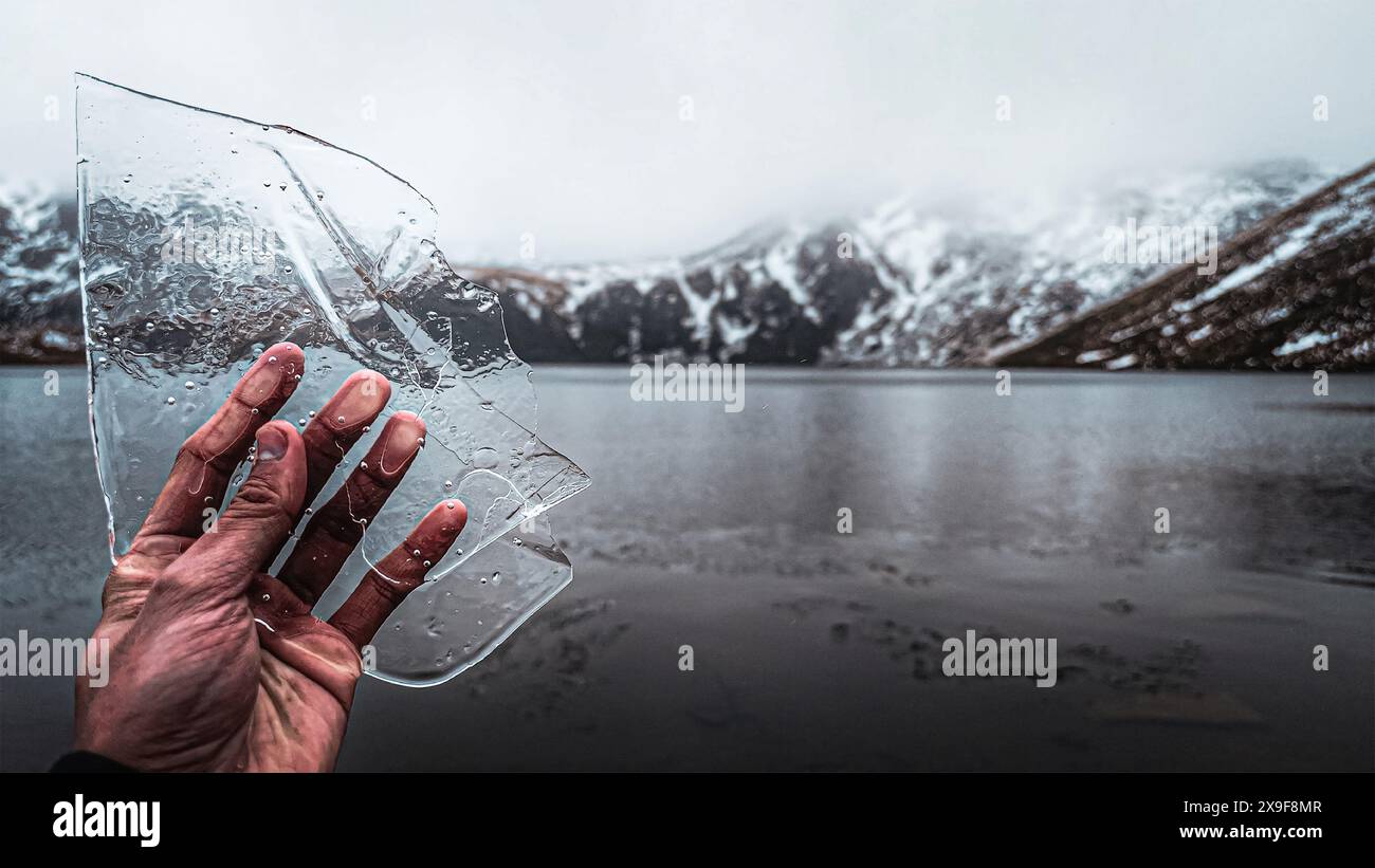 Holding A Piece Of Broken Ice Sheet Of Lake Sylvester, Kahurangi ...