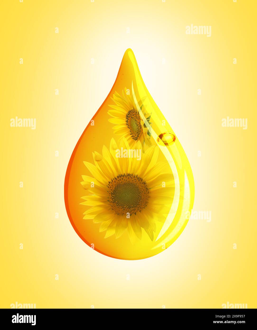 Cooking oil drop with sunflowers inside on golden background Stock ...