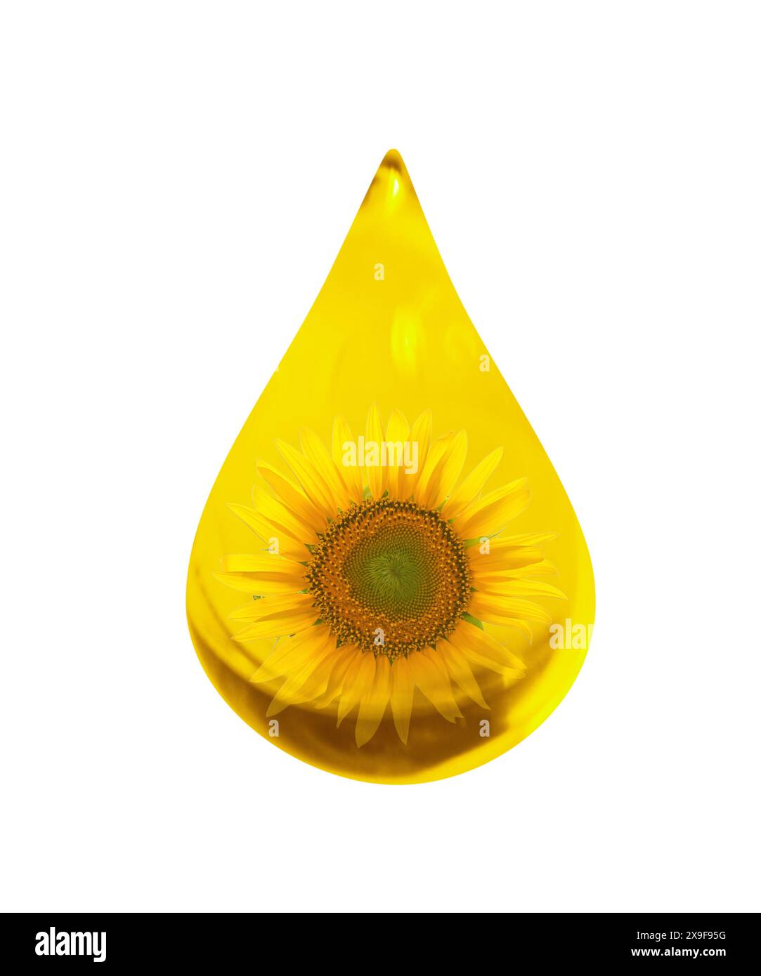 Cooking oil drop with sunflower inside on white background Stock Photo ...