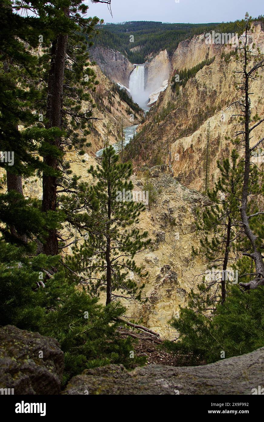 Yellowstone National Par Stock Photo - Alamy