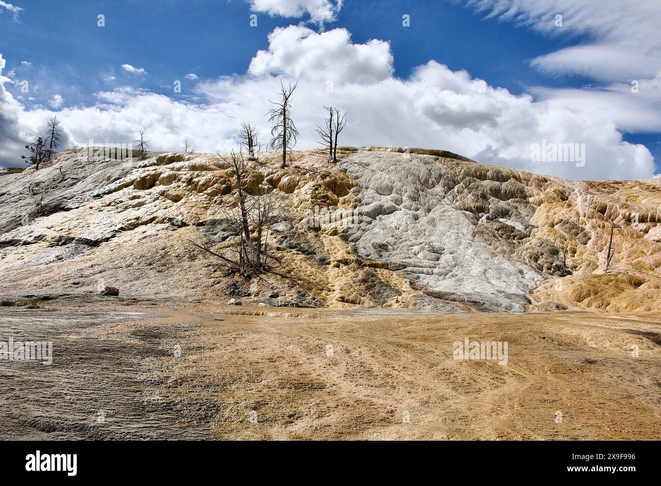 Yellowstone National Par Stock Photo - Alamy
