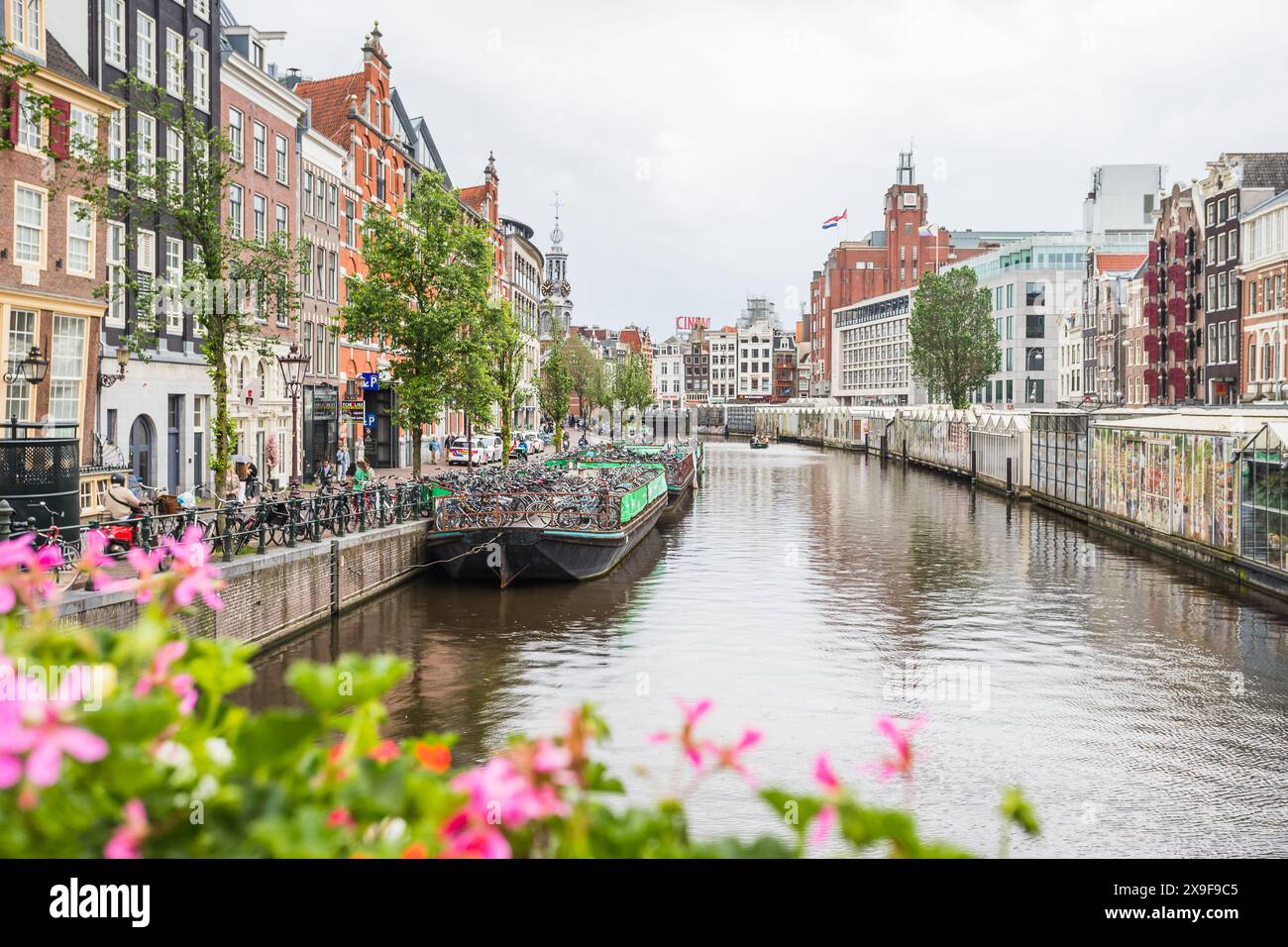 Overlooking flowers on a bridge to the floating flower market on the ...
