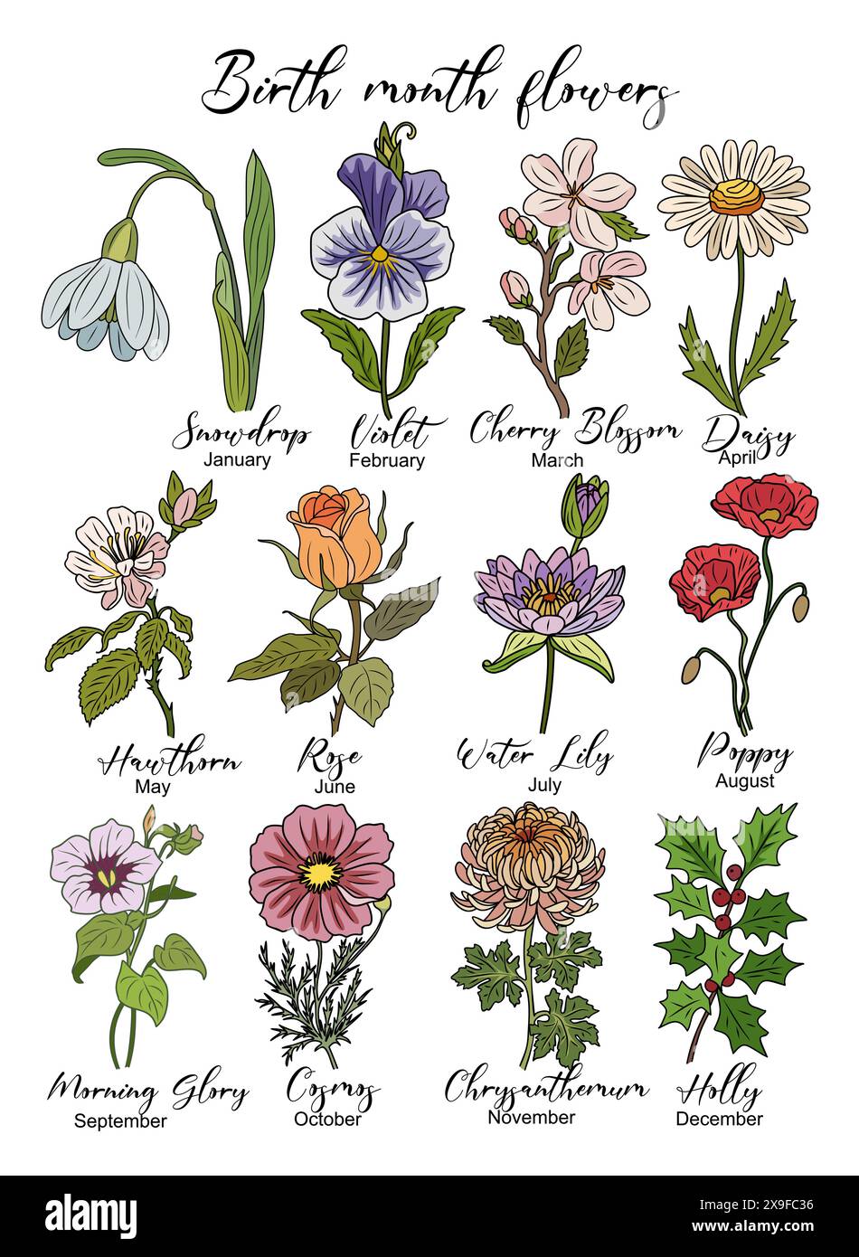 Set of Birth month flowers vector illustrations Stock Vector Image ...