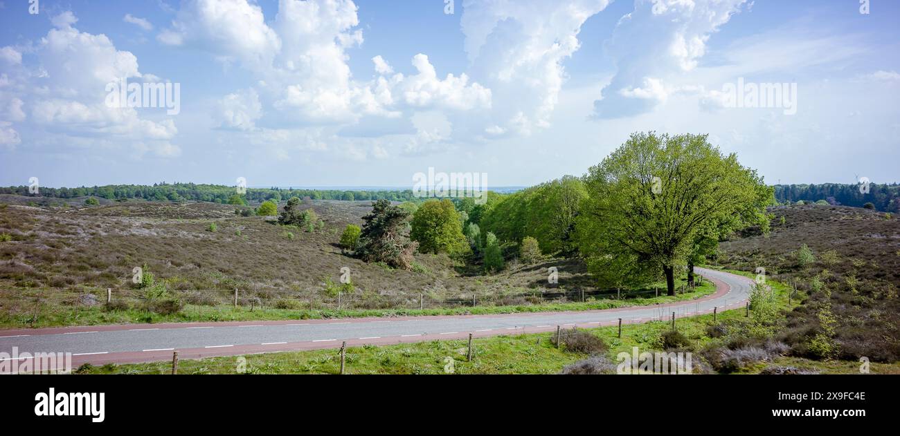 Sharp turn in country through moorland landscape road. Spring season ...
