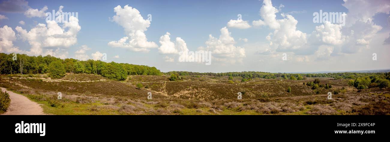 Sharp turn in country through moorland landscape road. Spring season ...