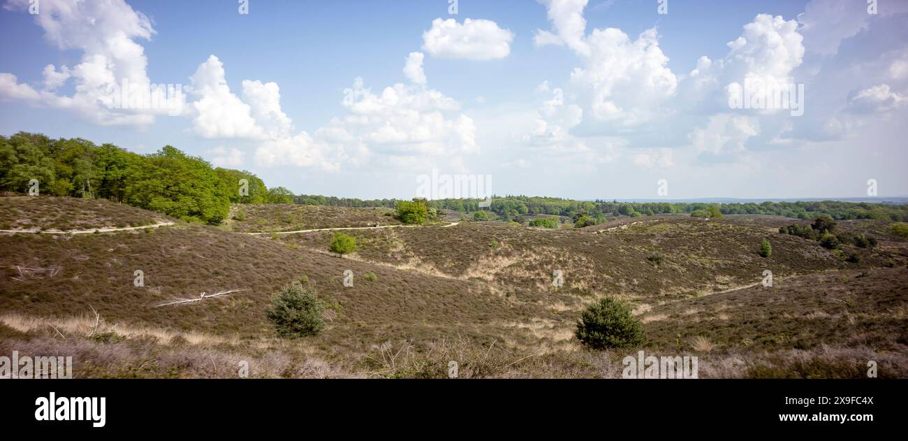 Sharp turn in country through moorland landscape road. Spring season ...