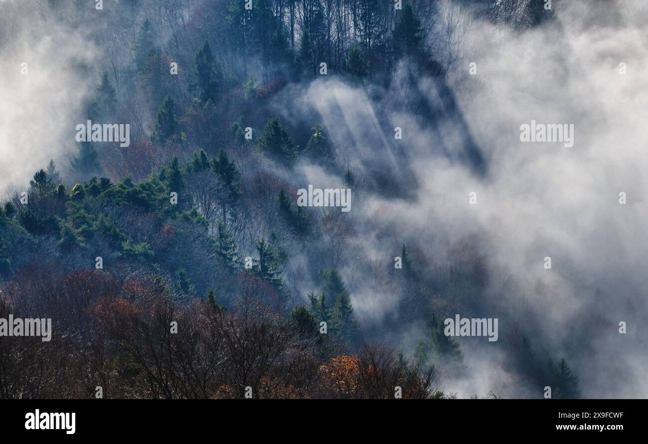 Aerial view of fog over an alpine forest landscape, Switzerland Stock ...